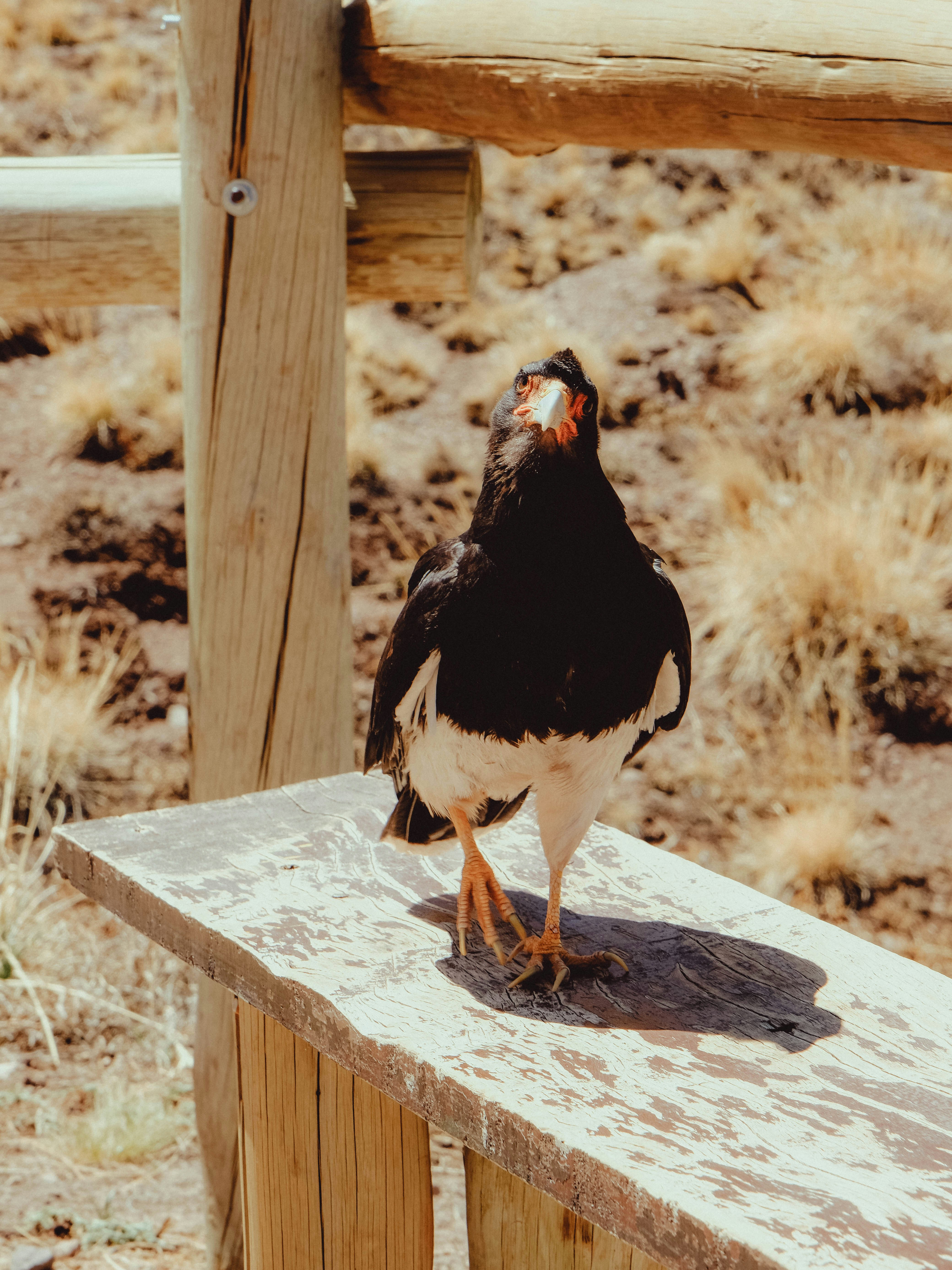 Photo by Joao Vitor Marcilio with Fujifilm X-T30