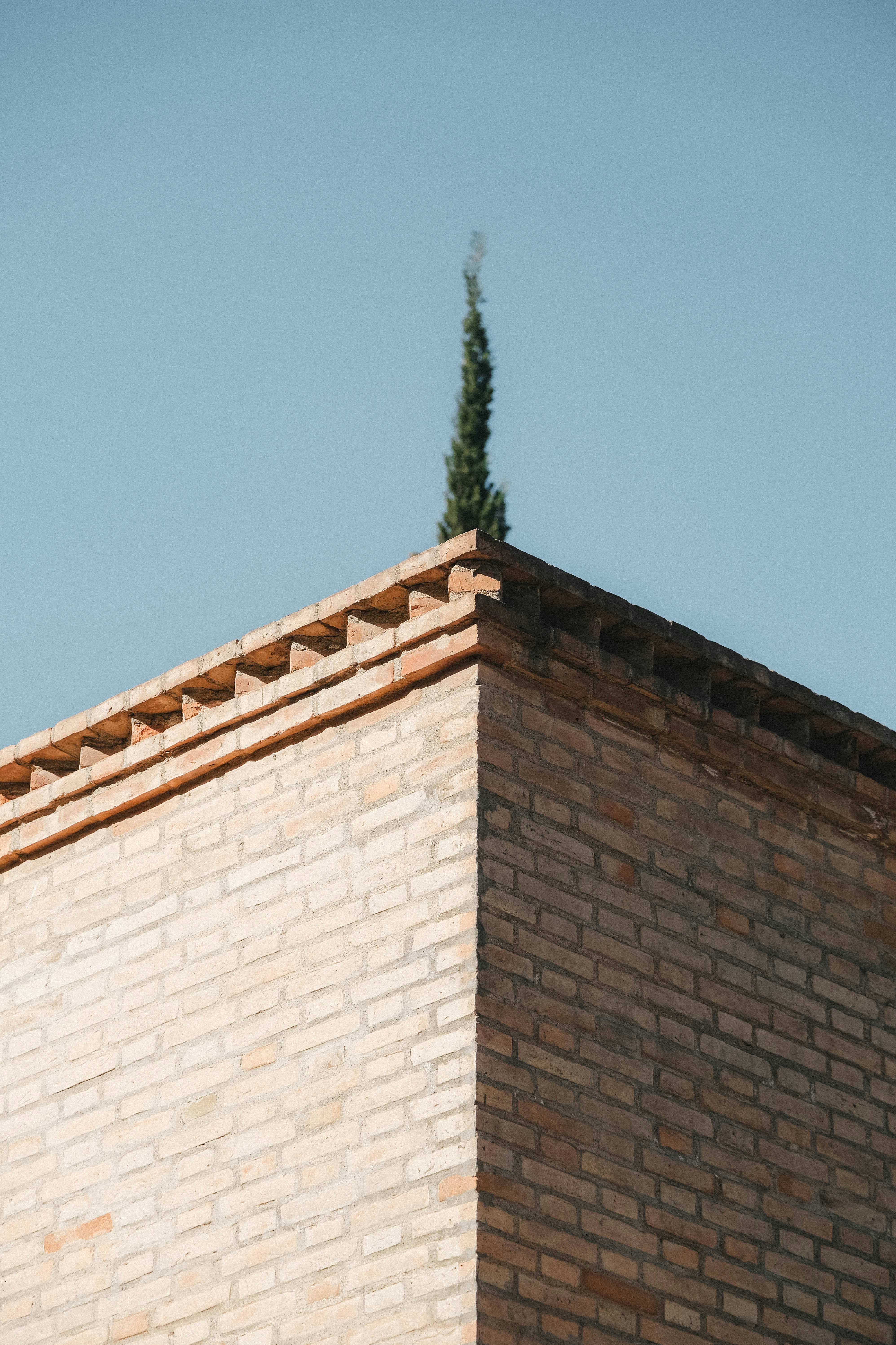 Photo by Joao Vitor Marcilio with Fujifilm X-T30