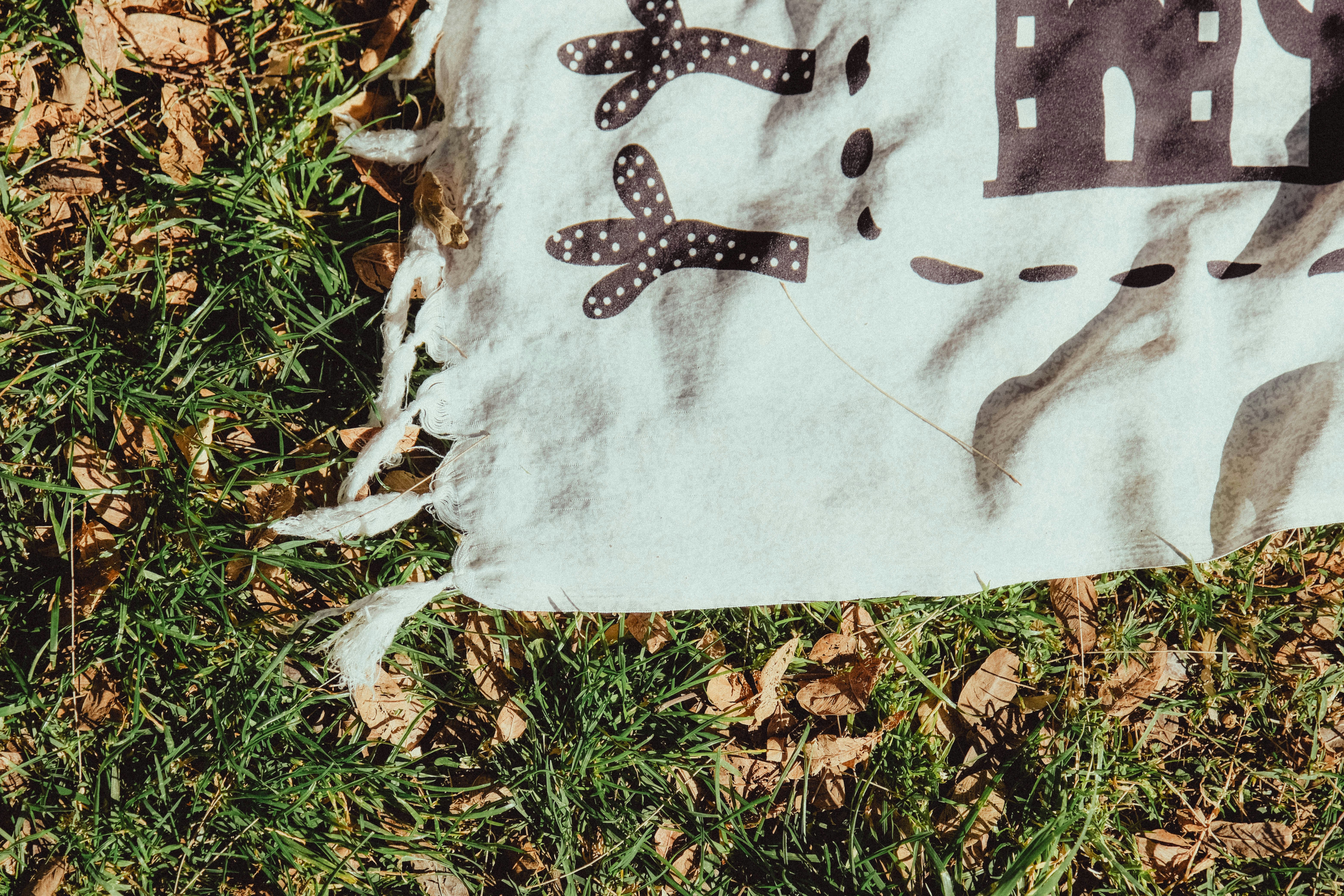 Tattered Banner on Grass: A Partial Textile Scene Cast by Sun