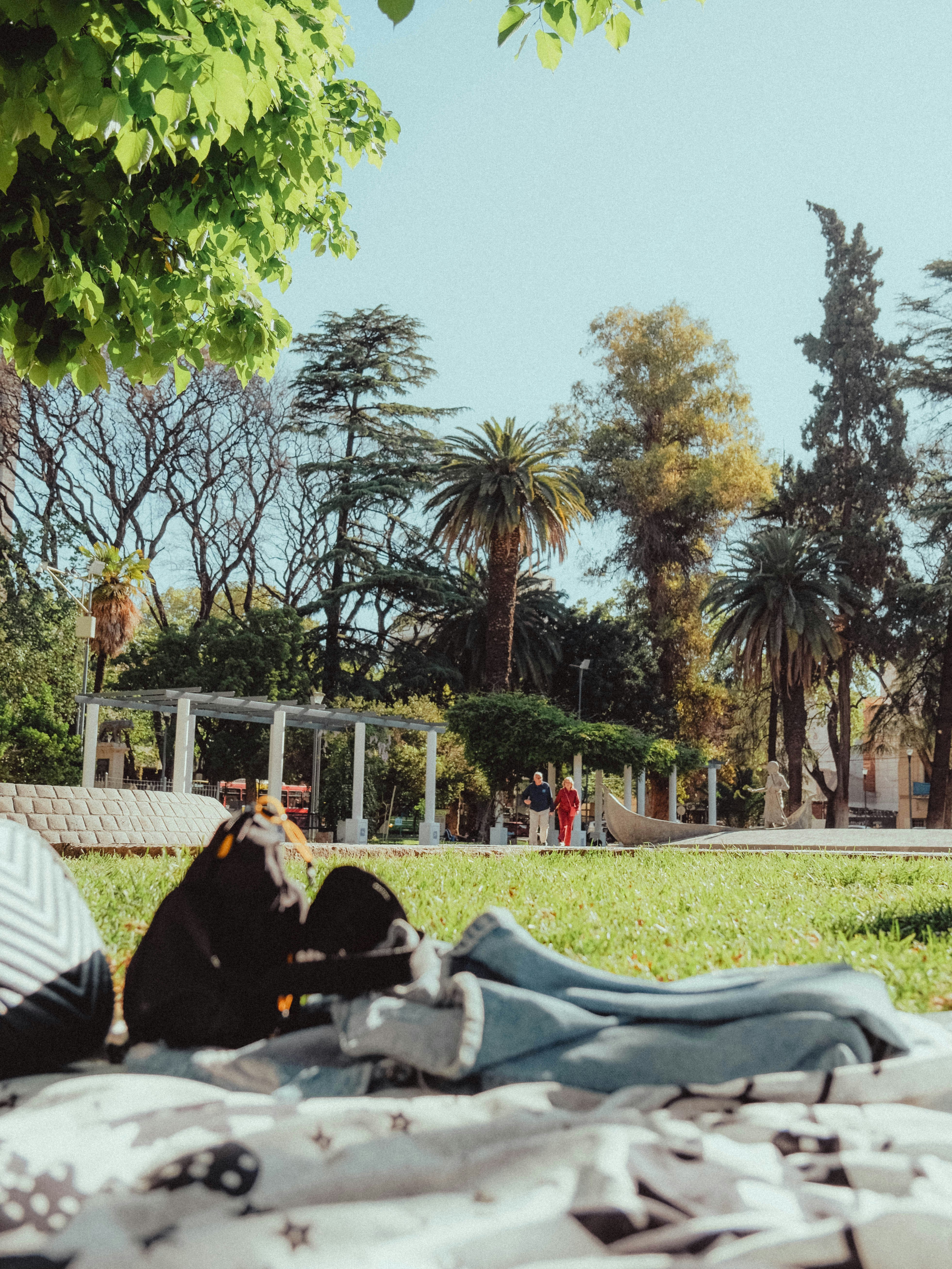 Sunlit Park Picnic with Distant Figures and towering palms