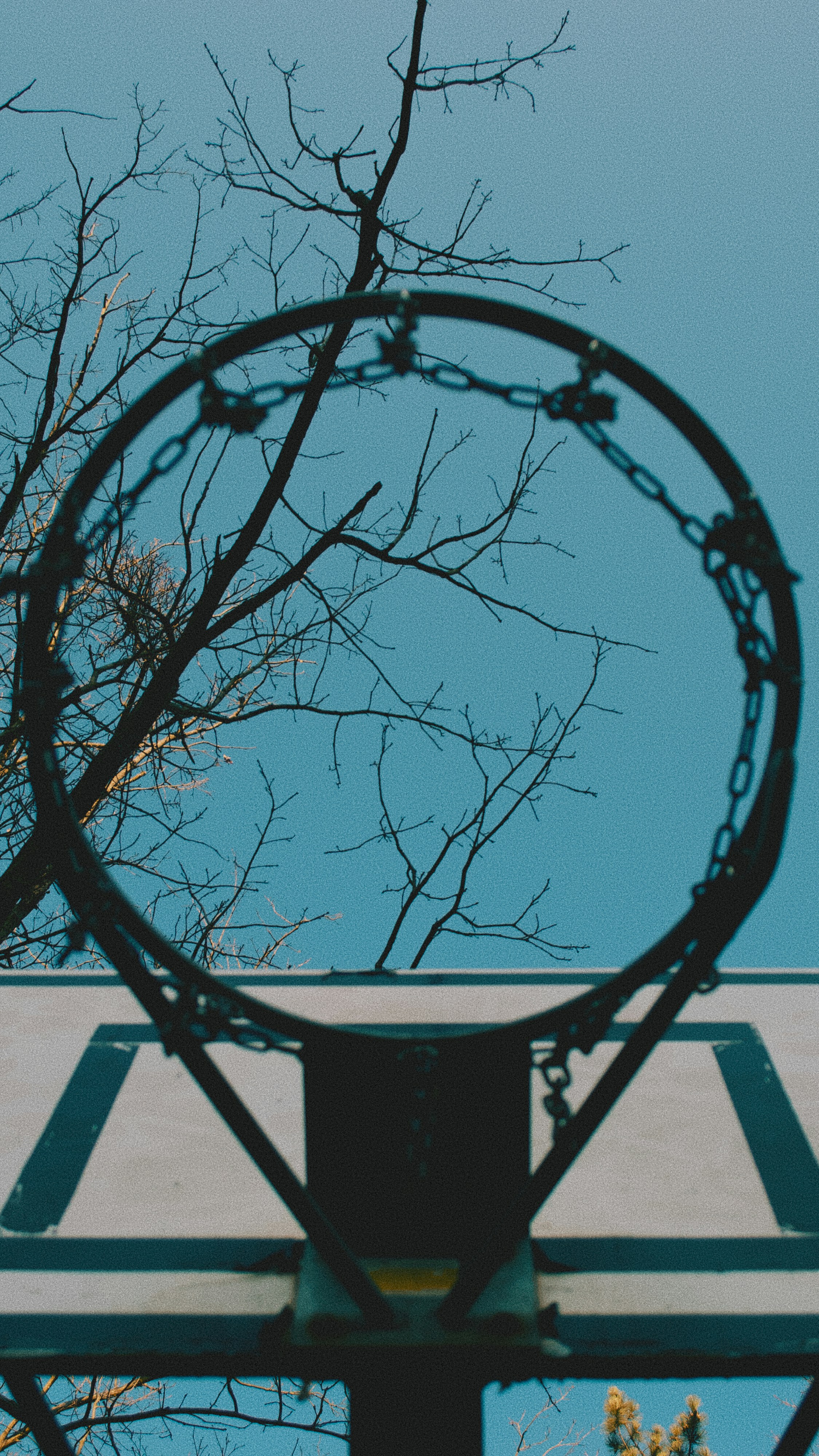 Through the Rim: Skyward Hoop Frame