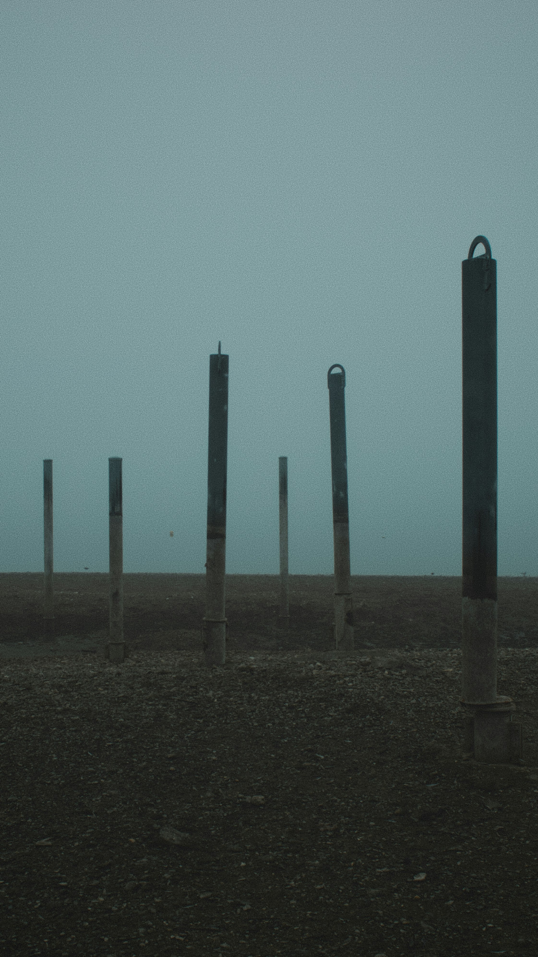 Pillars on a Misty Shoreline