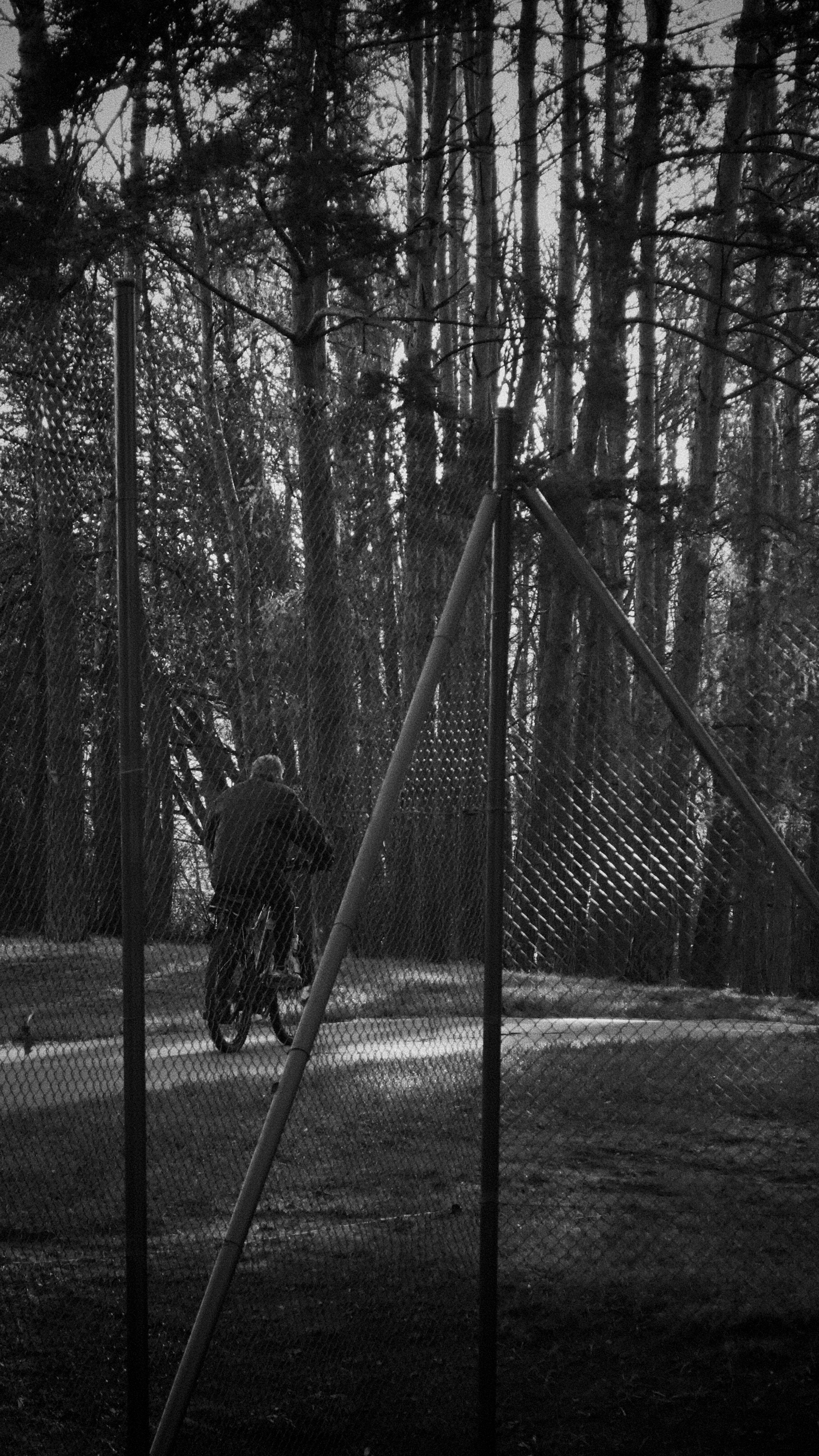 Photo by Tony Lendiel with Nikon D3200