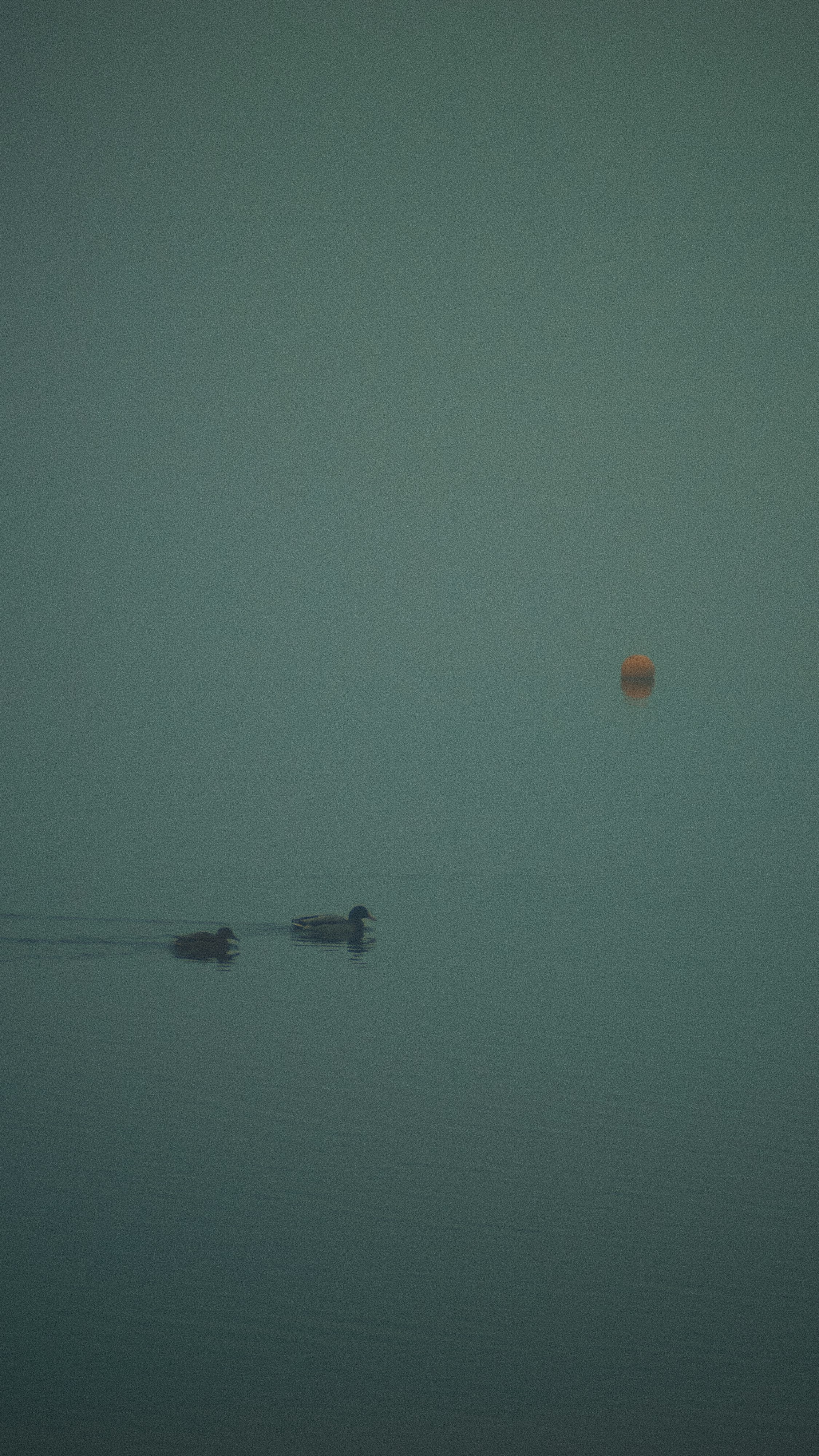 Photo by Tony Lendiel with Nikon D3200