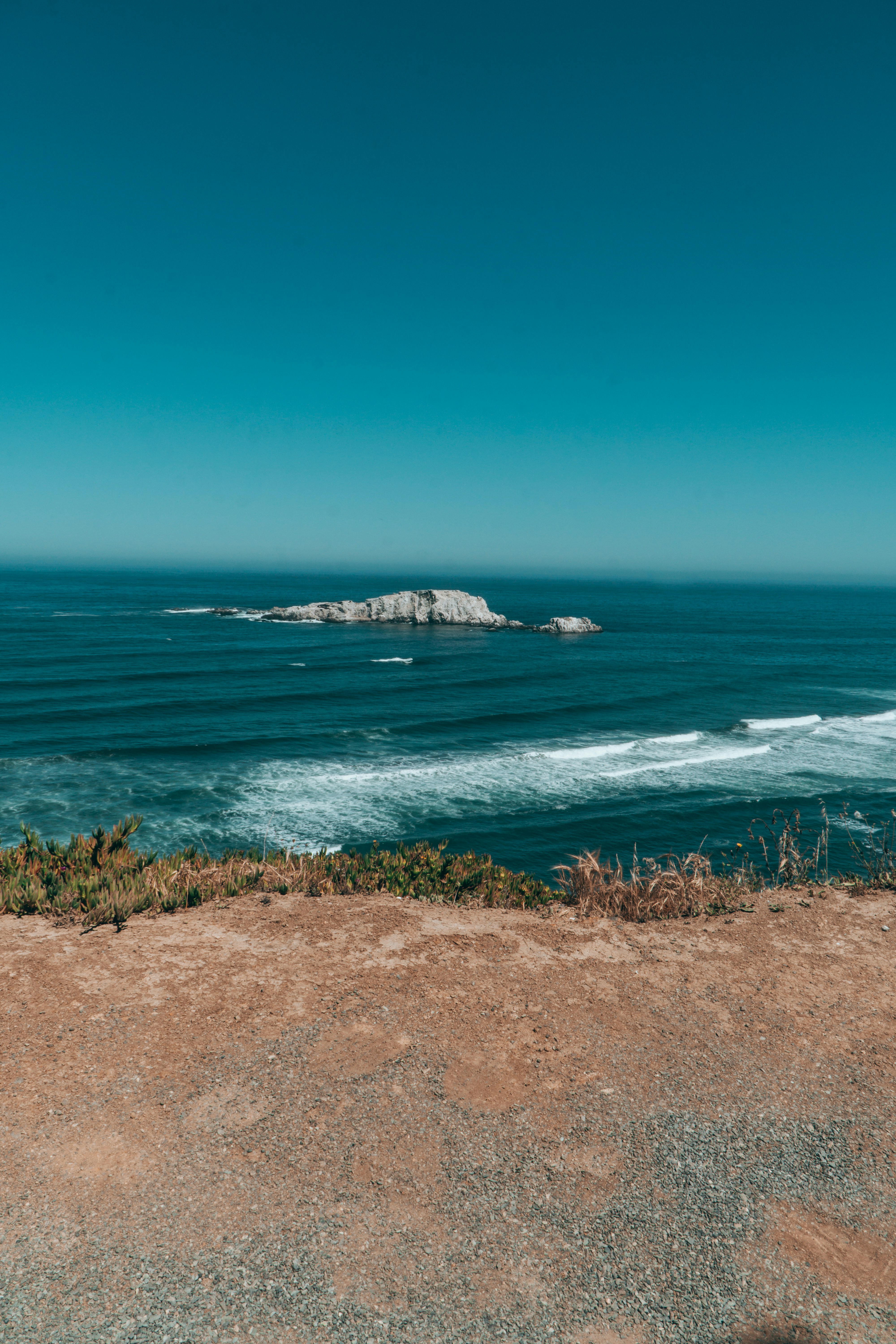 Coastal Spine: A Quiet Edge Between Cliff and Sea