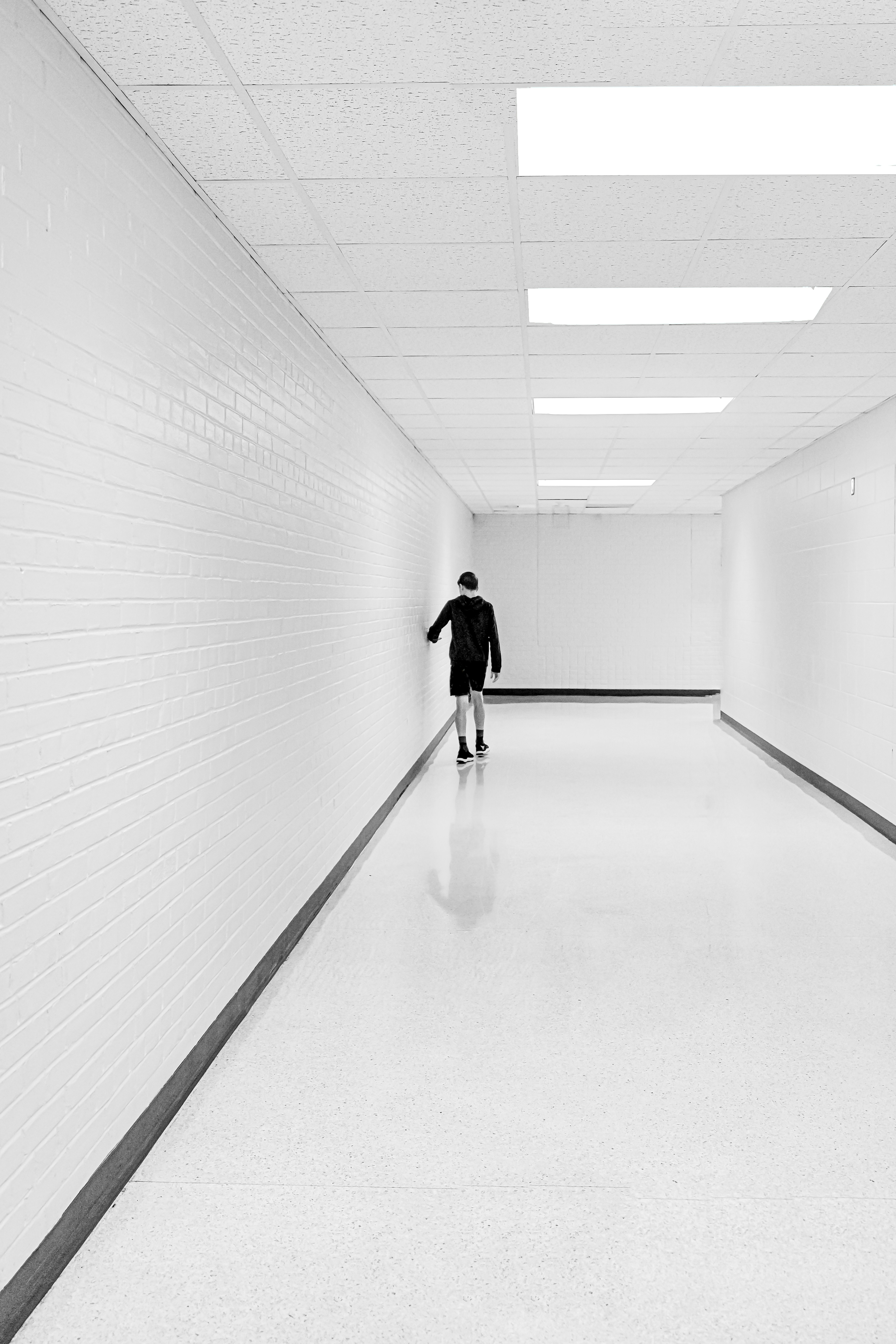 Photo by Todd Trapani with Sony Alpha 7R II