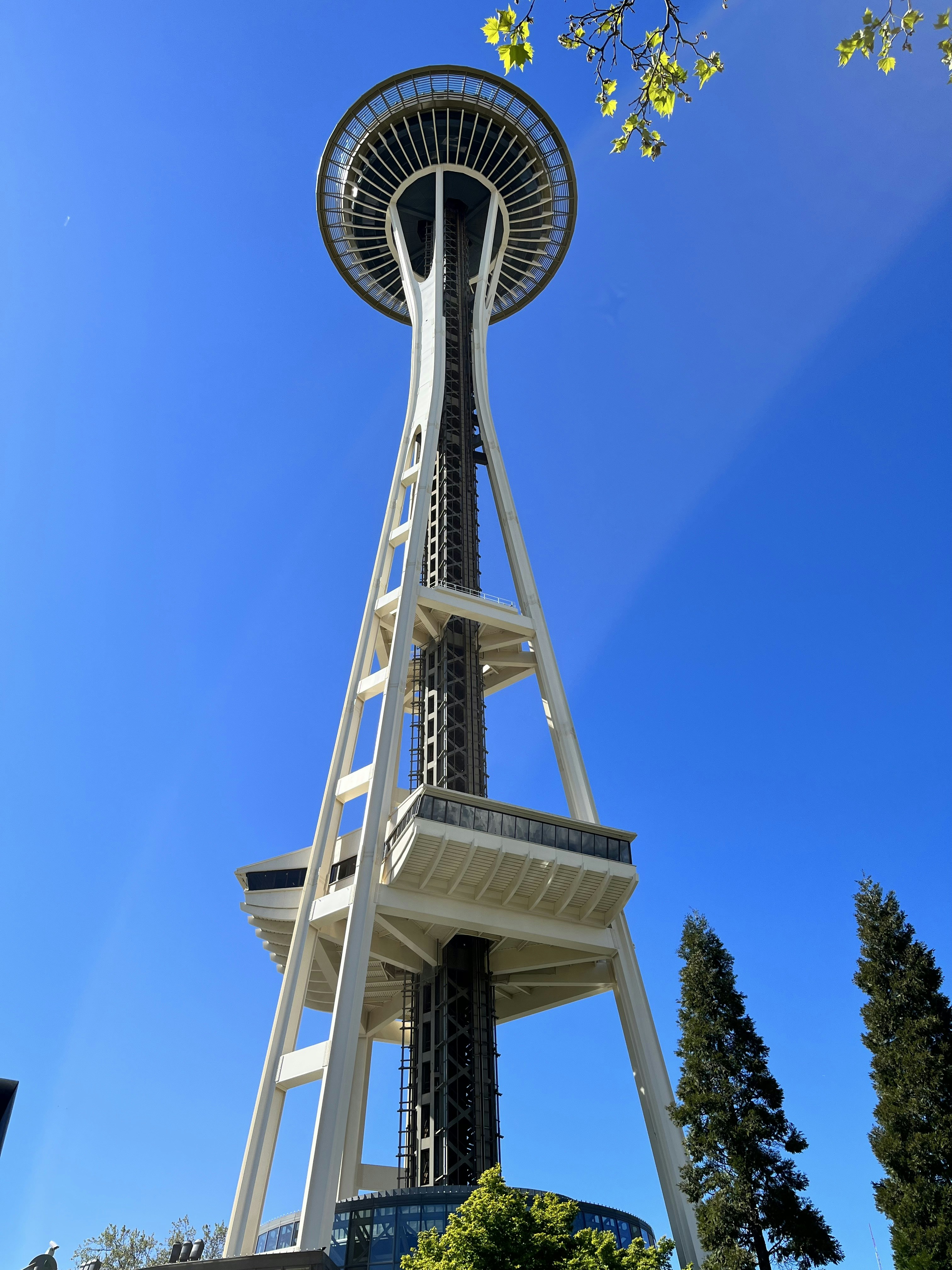 The iconic Space Needle towers into a clear blue sky in Seattle, framed by leafy tree branches and evergreens. The sleek structure stands out against the vibrant color of the sky.