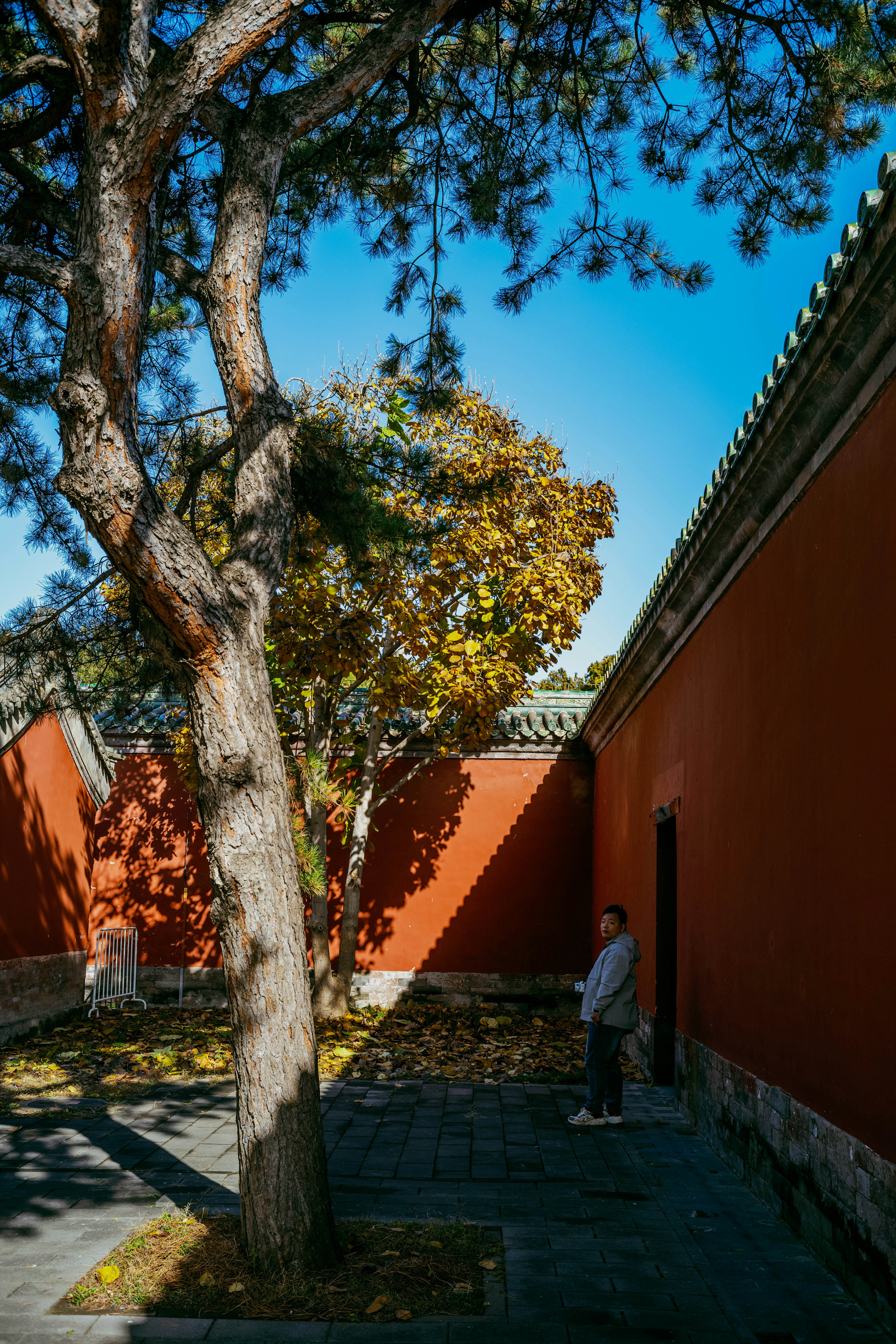 Sunlit Courtyard Portrait Amid Ancient Walls