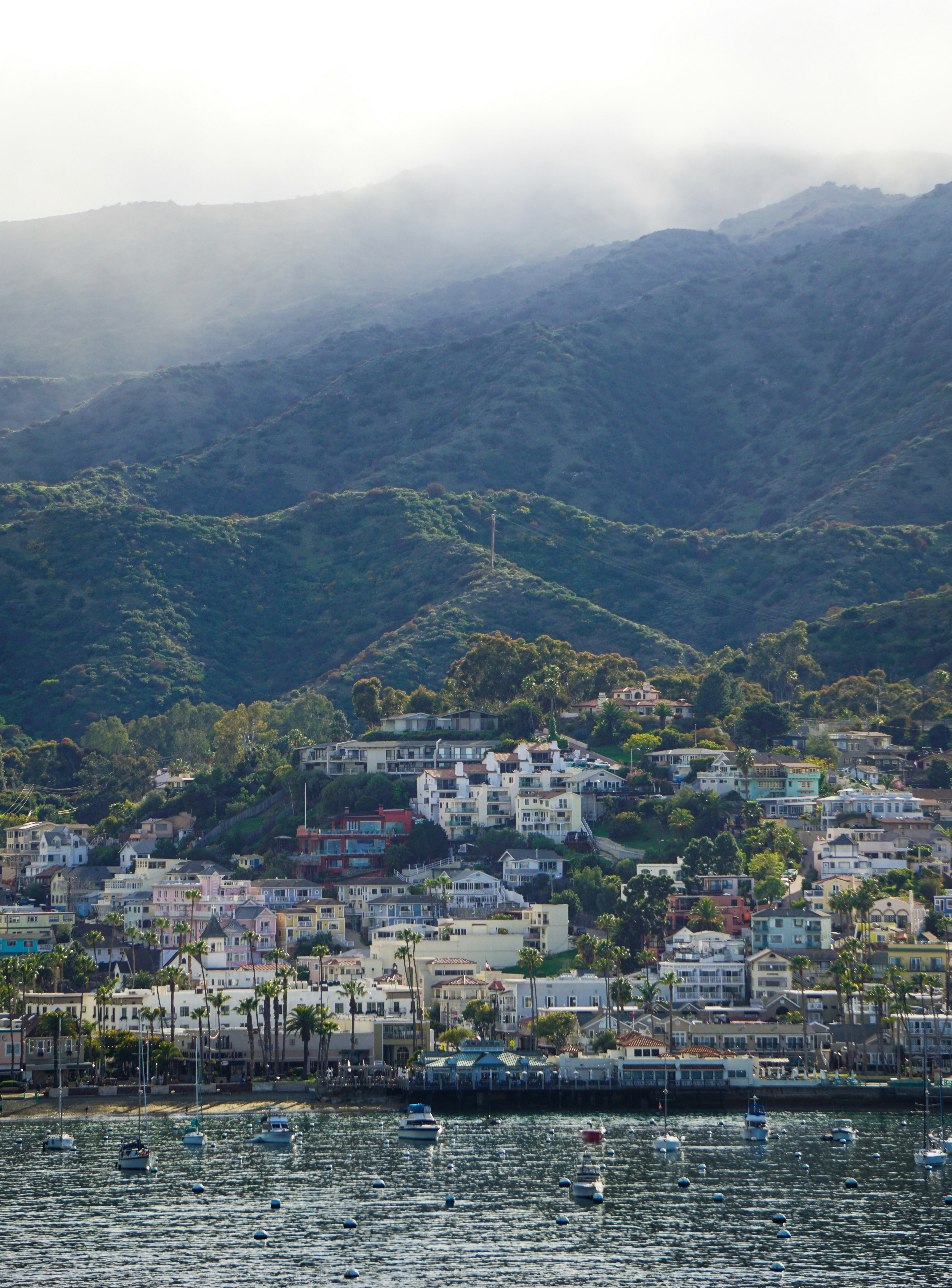 Harbor Crest: A hillside town waking to the sea