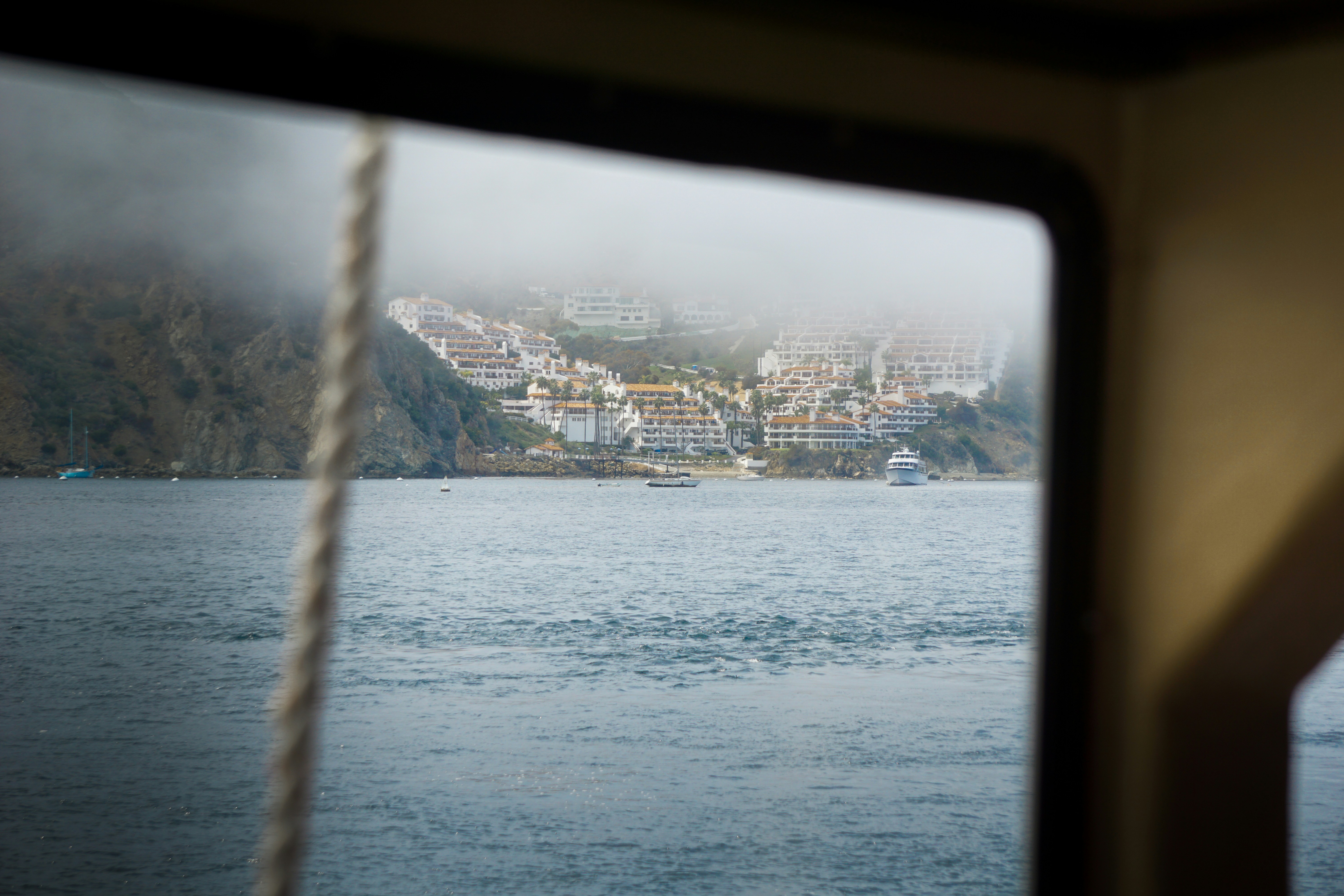 Photo by Henry Hartmann with Sony Alpha 6000