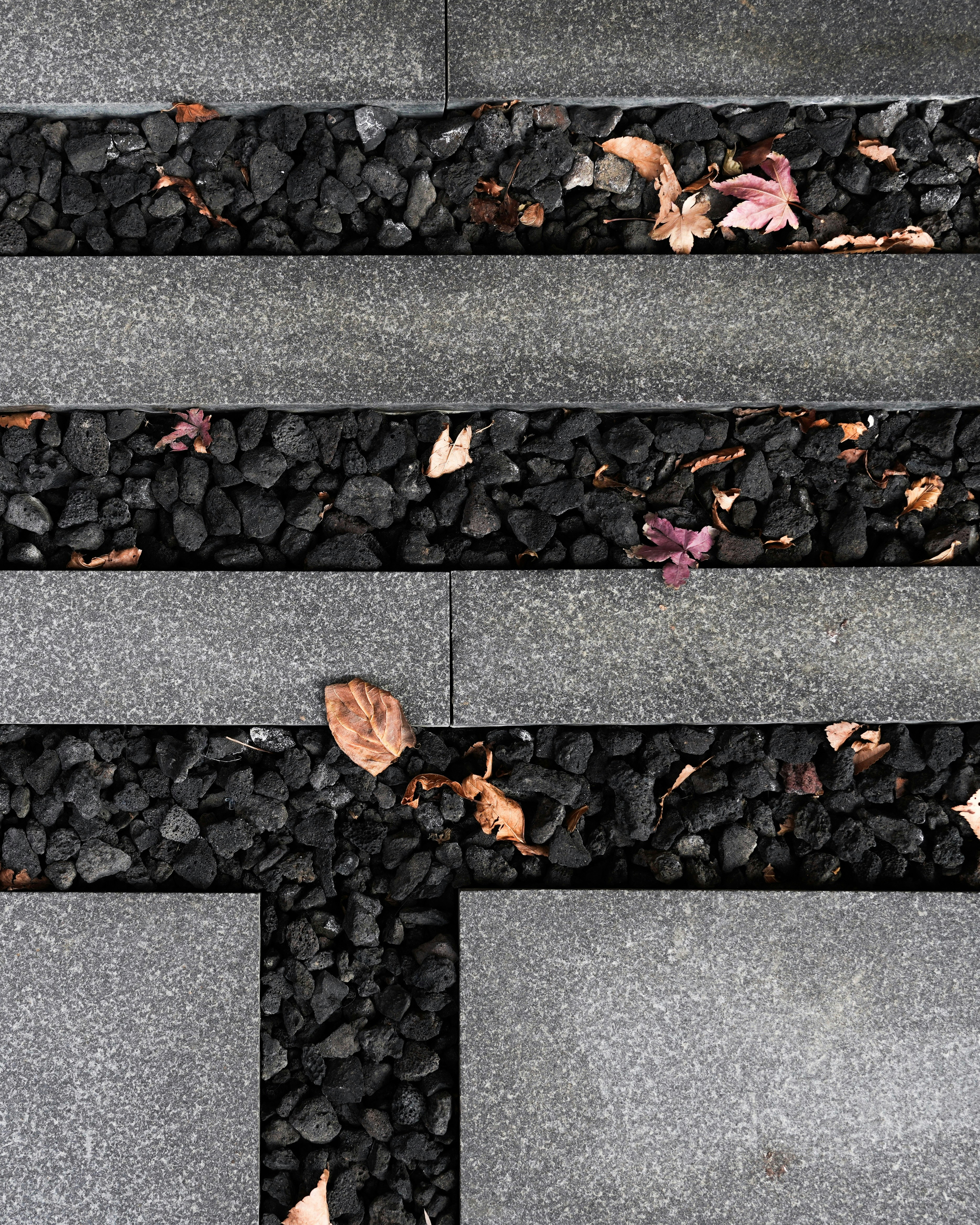 Steps of Stone: Geometric Pavement with Fallen Leaves