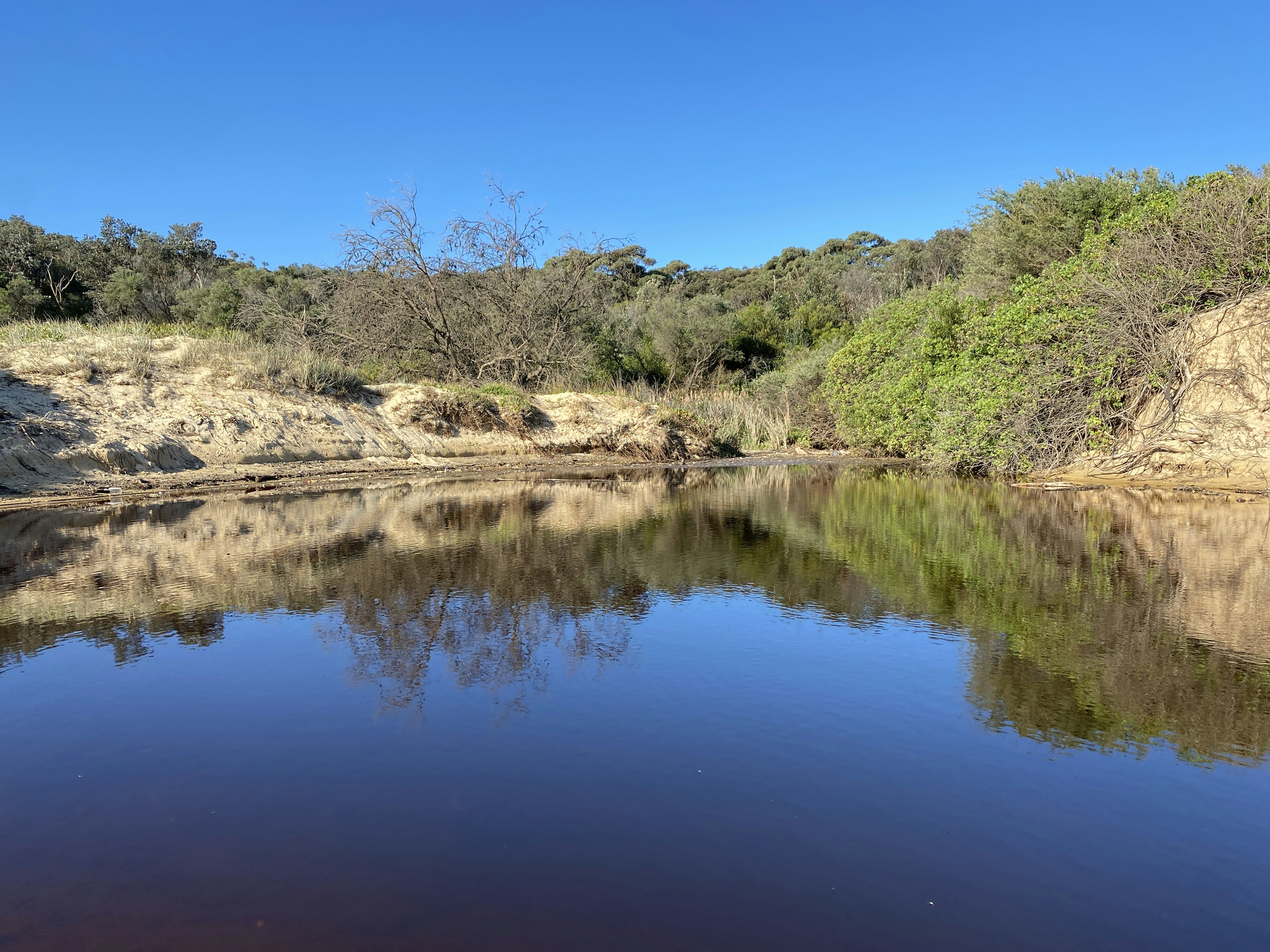 Horizon Mirror: Riverbank and Sky Framing a Quiet Moment