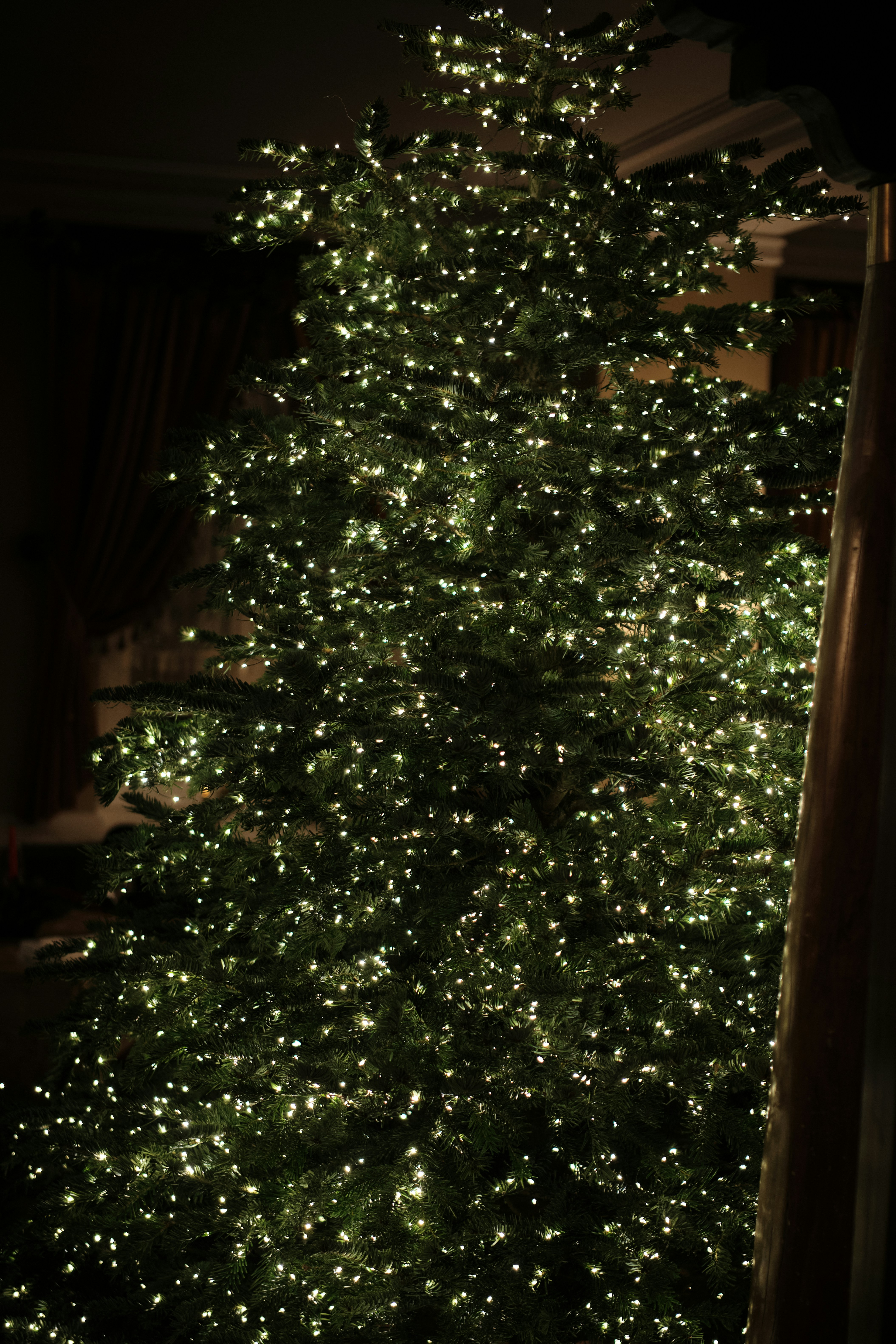 Sample photo from Fujifilm X-E5