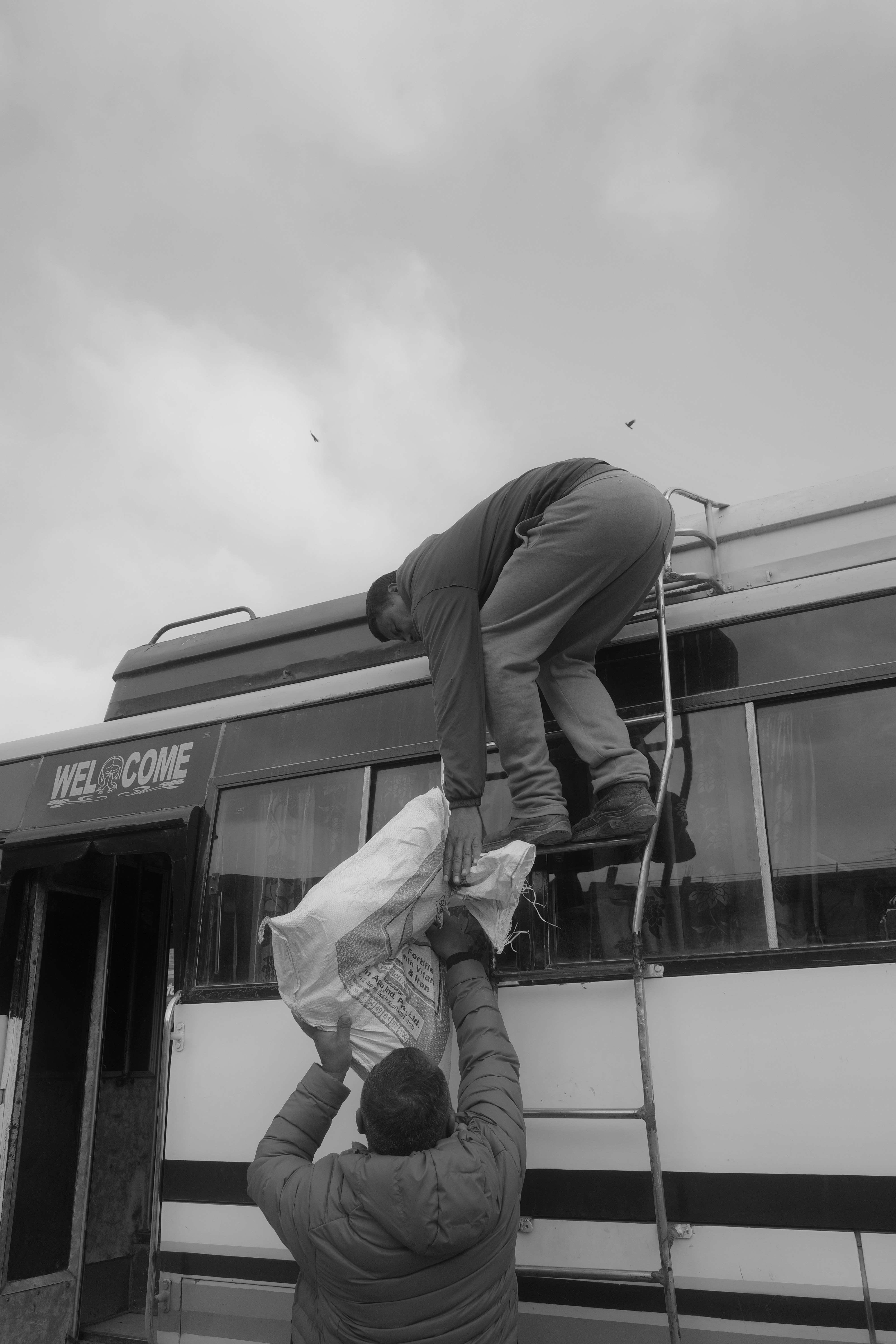 Two men loading bags onto a bus photo – Free Travel Image on Unsplash
