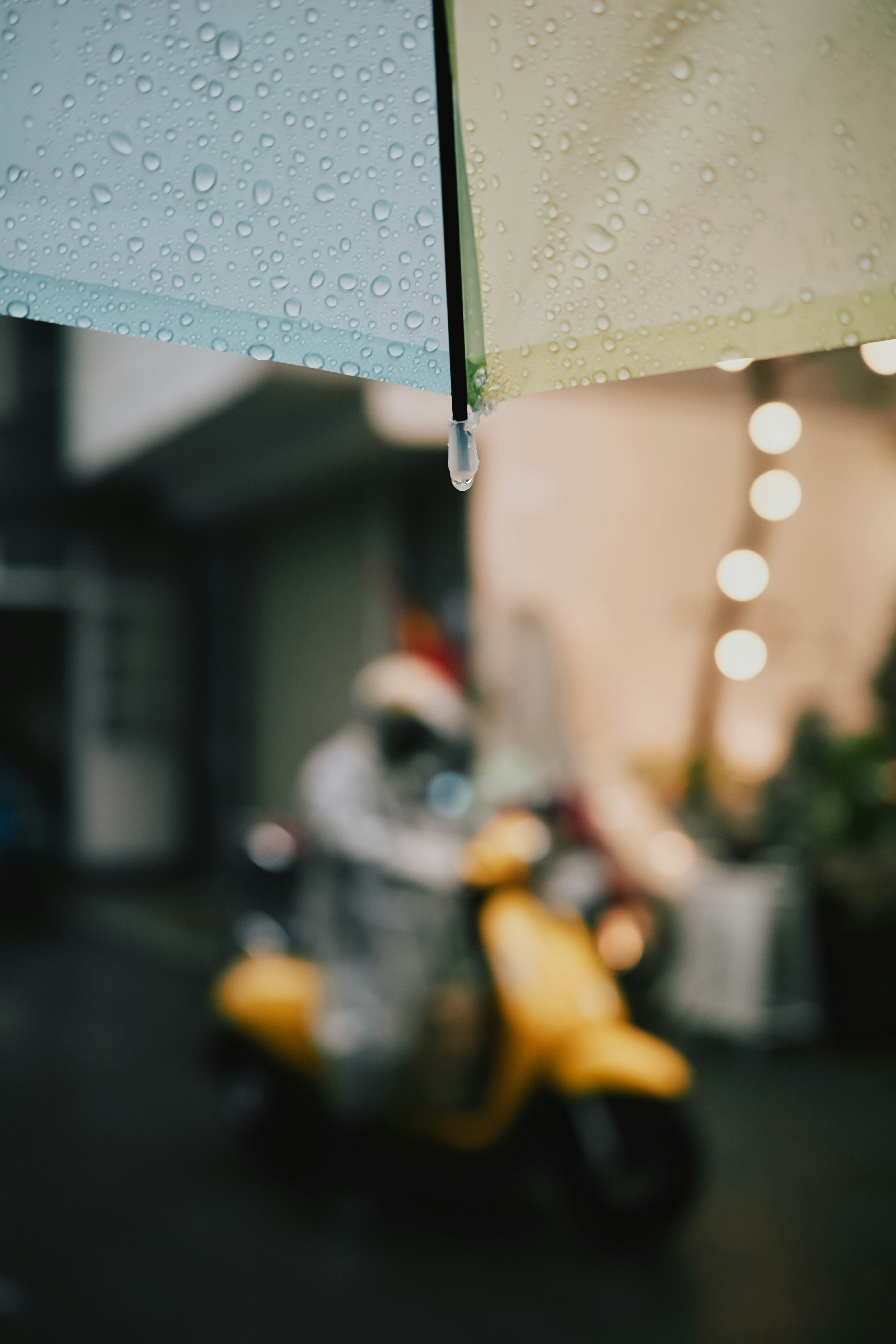 Raindrops on a pastel umbrella during a quiet city rain