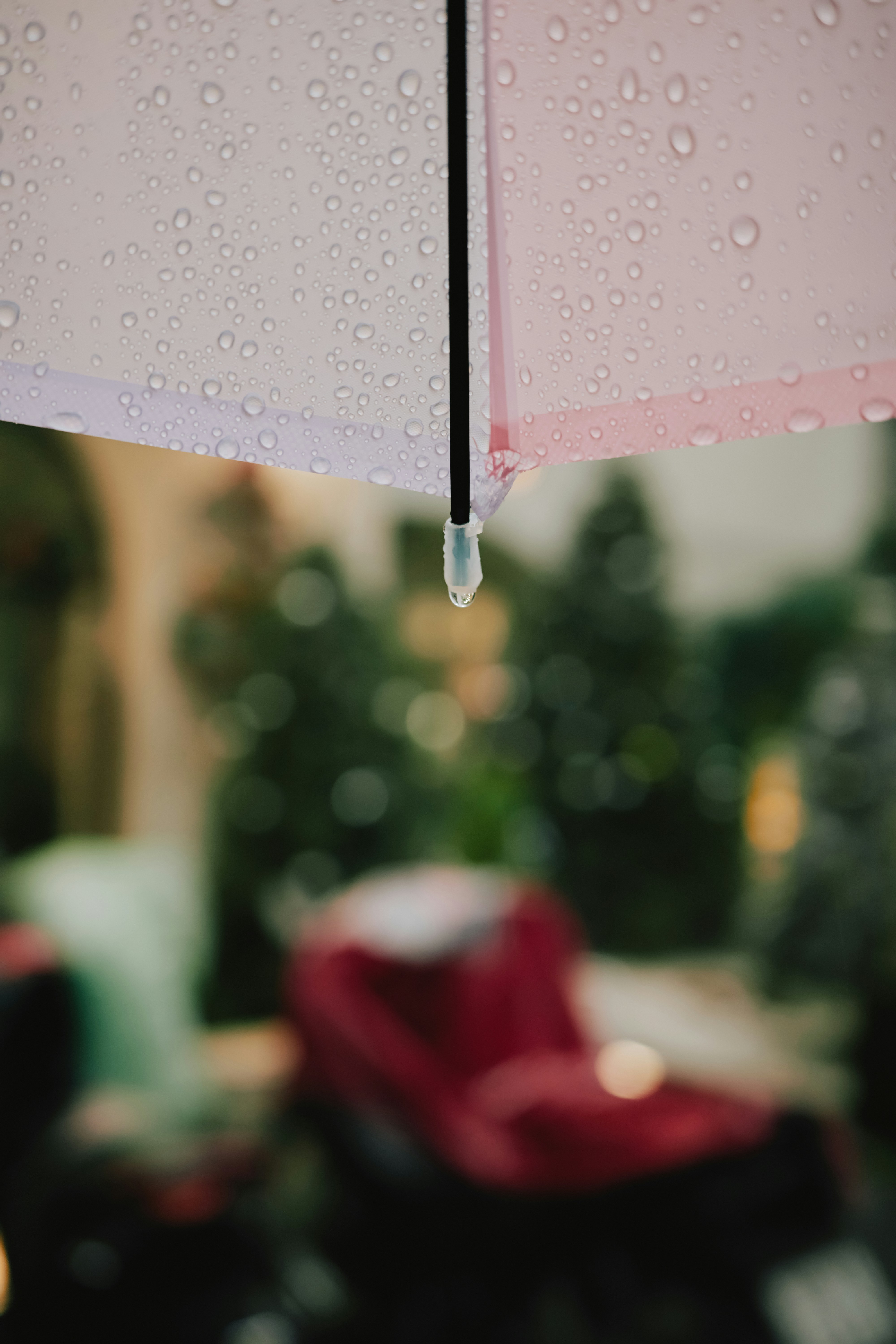 Umbrella Drop: Droplets on Pink and White Canopy in a Quiet Courtyard