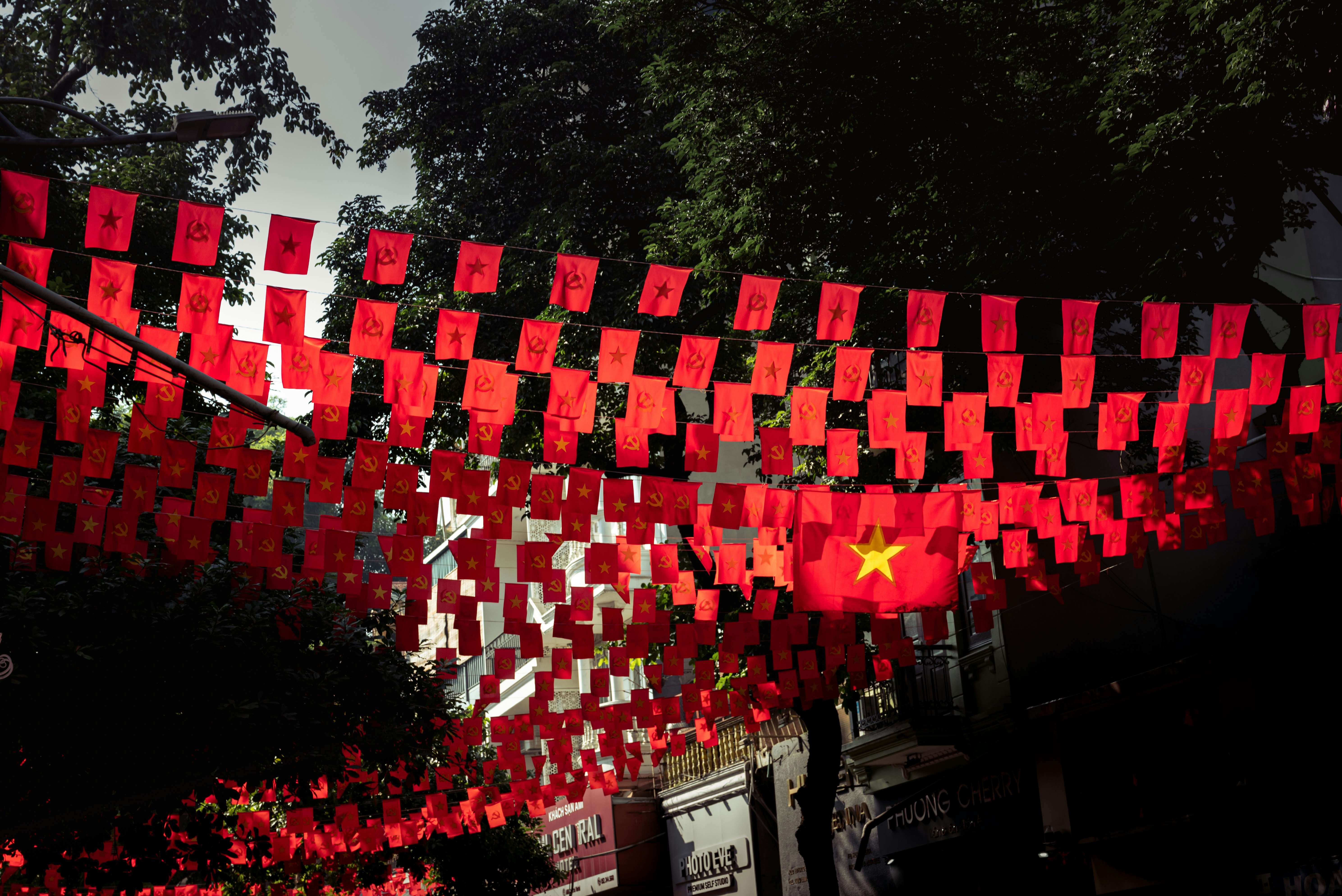 Crimson Flags Dotted Across a Sunlit Street
