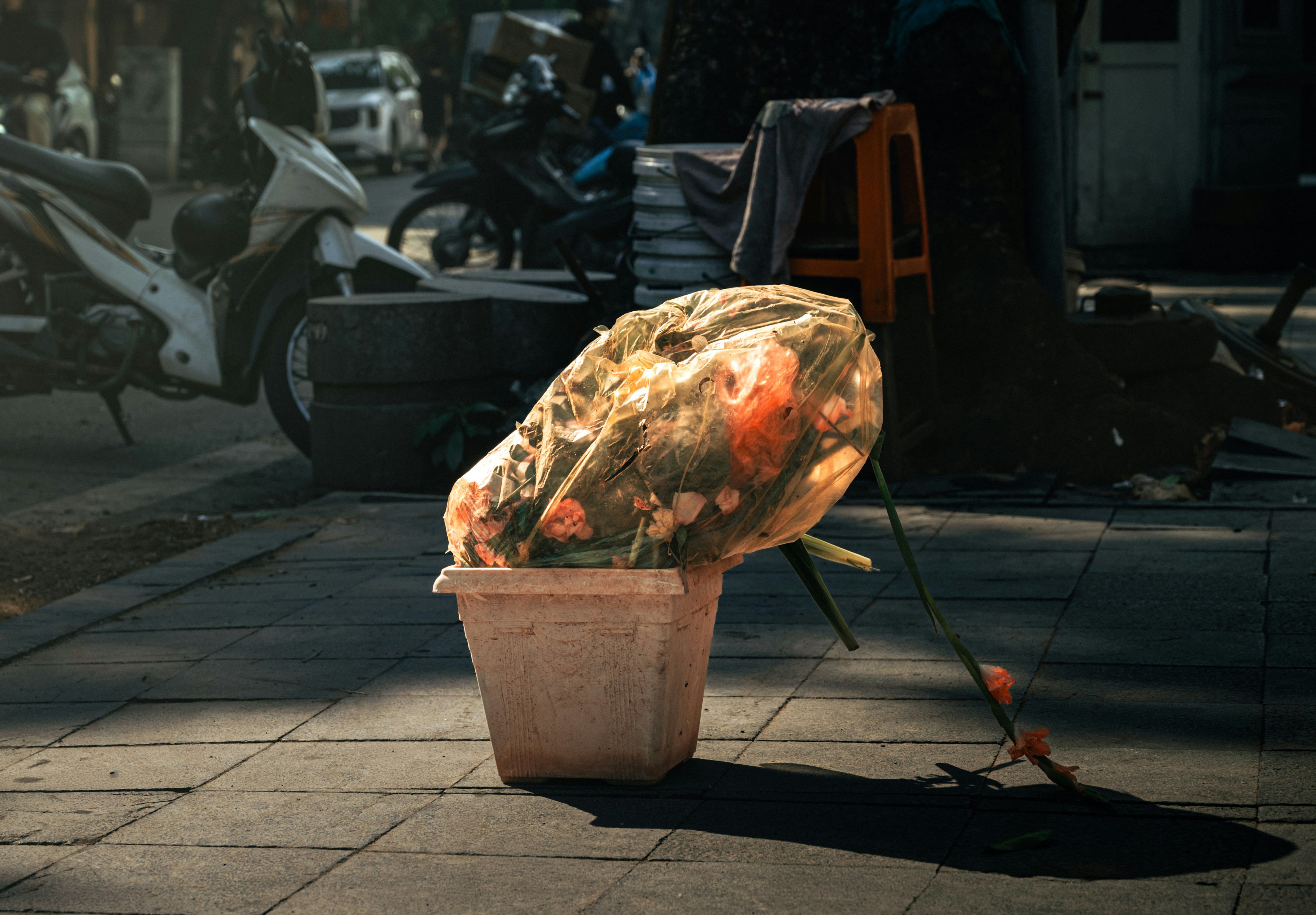 Discarded bouquet in a sunlit street corner