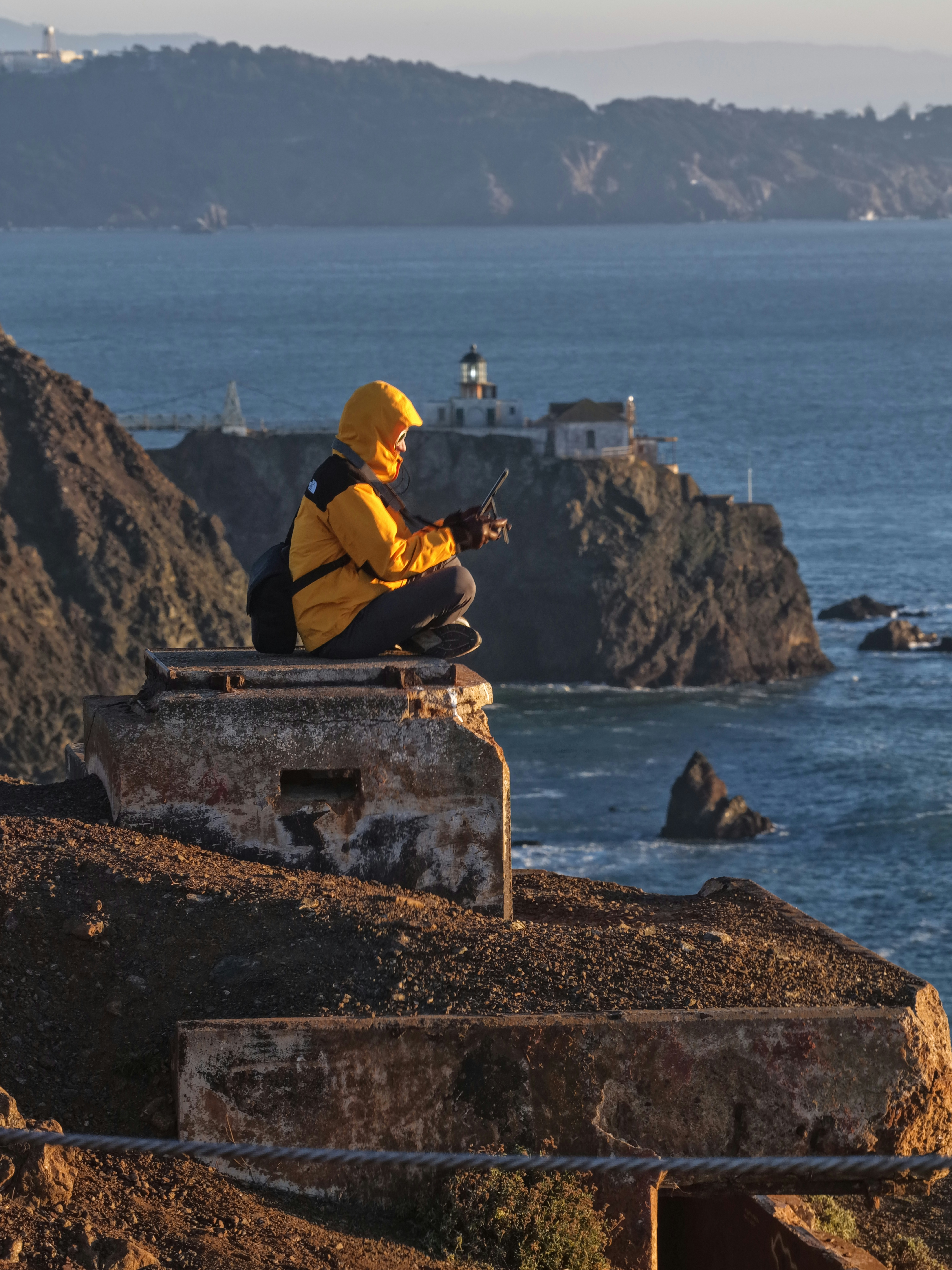 Yellow Jacket Scout on Coastal Outcrop