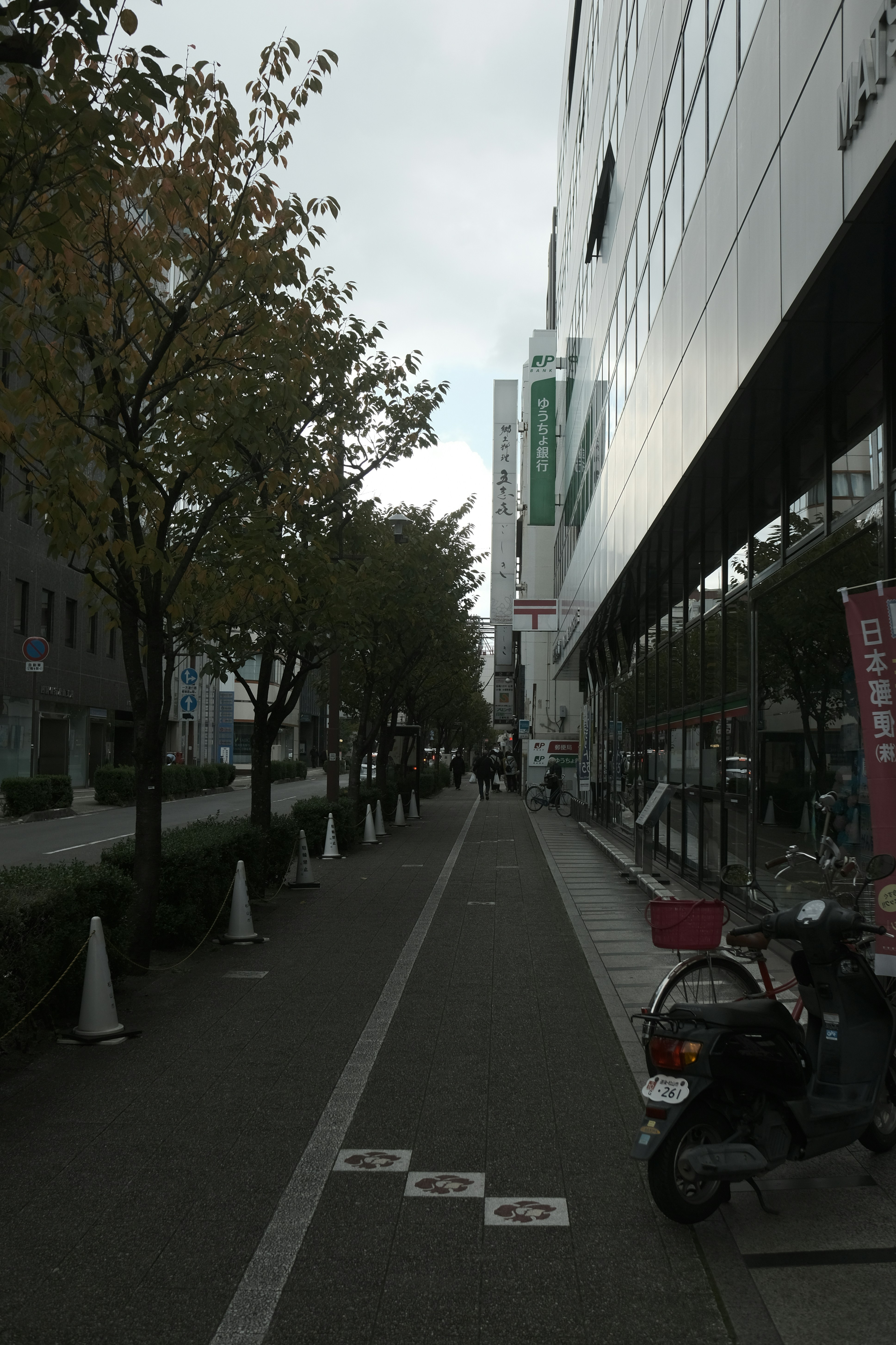 Urban Transit Corridor: Trees, Pedestrians, and Shaded Glass