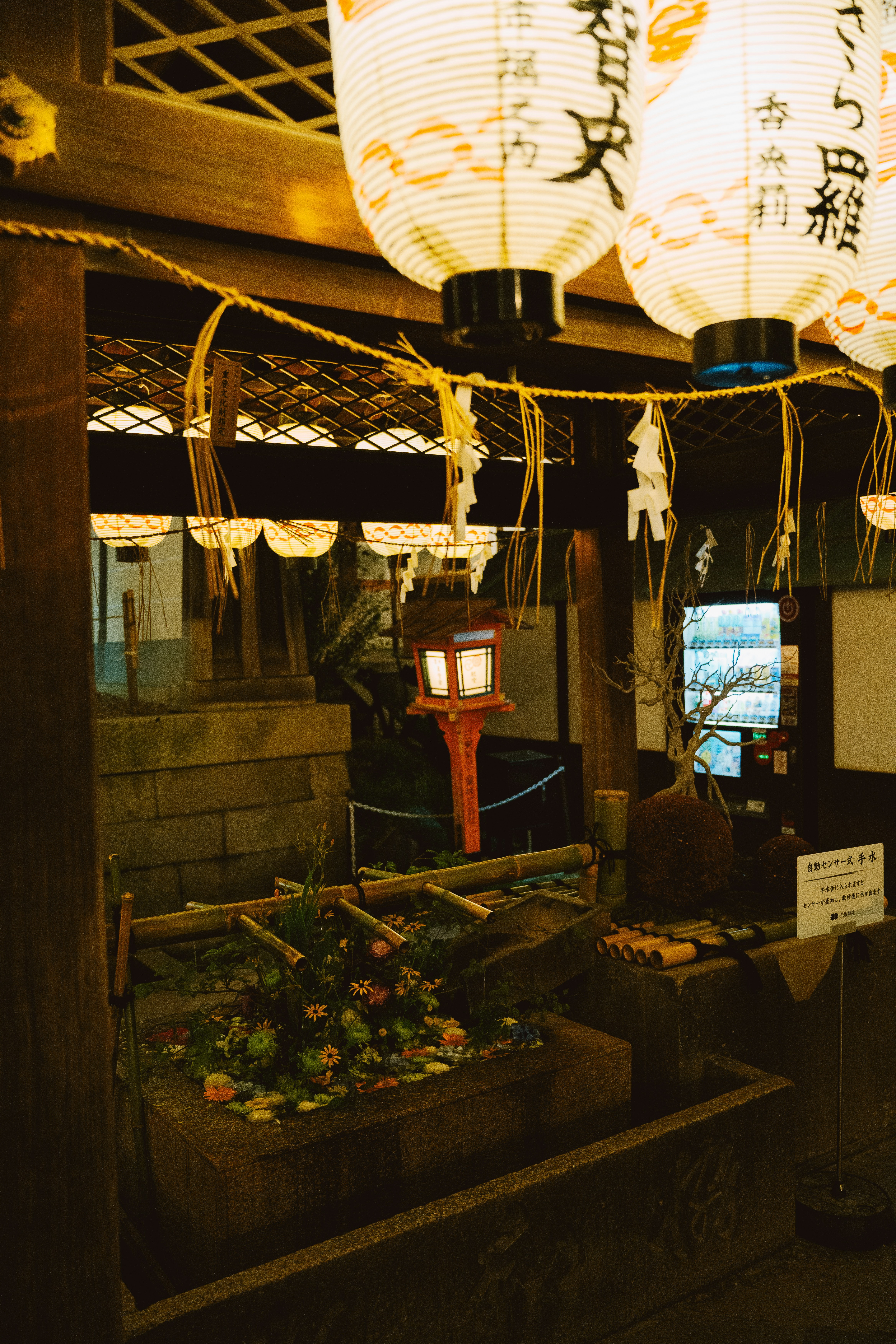 Photo by PJH with Sony Alpha 7 IV