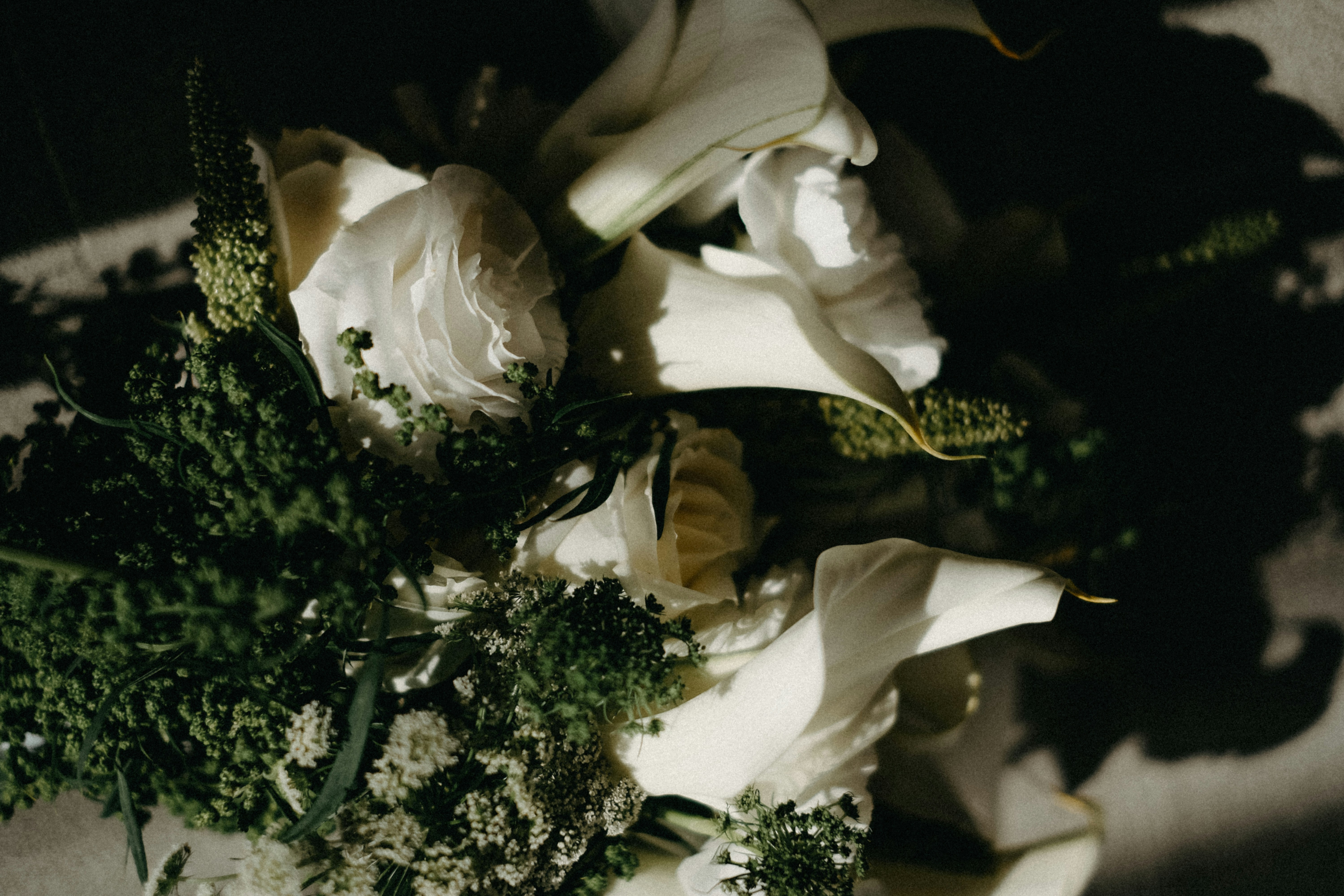 Moonlit Bouquet: White Roses Under Velvet Shadow