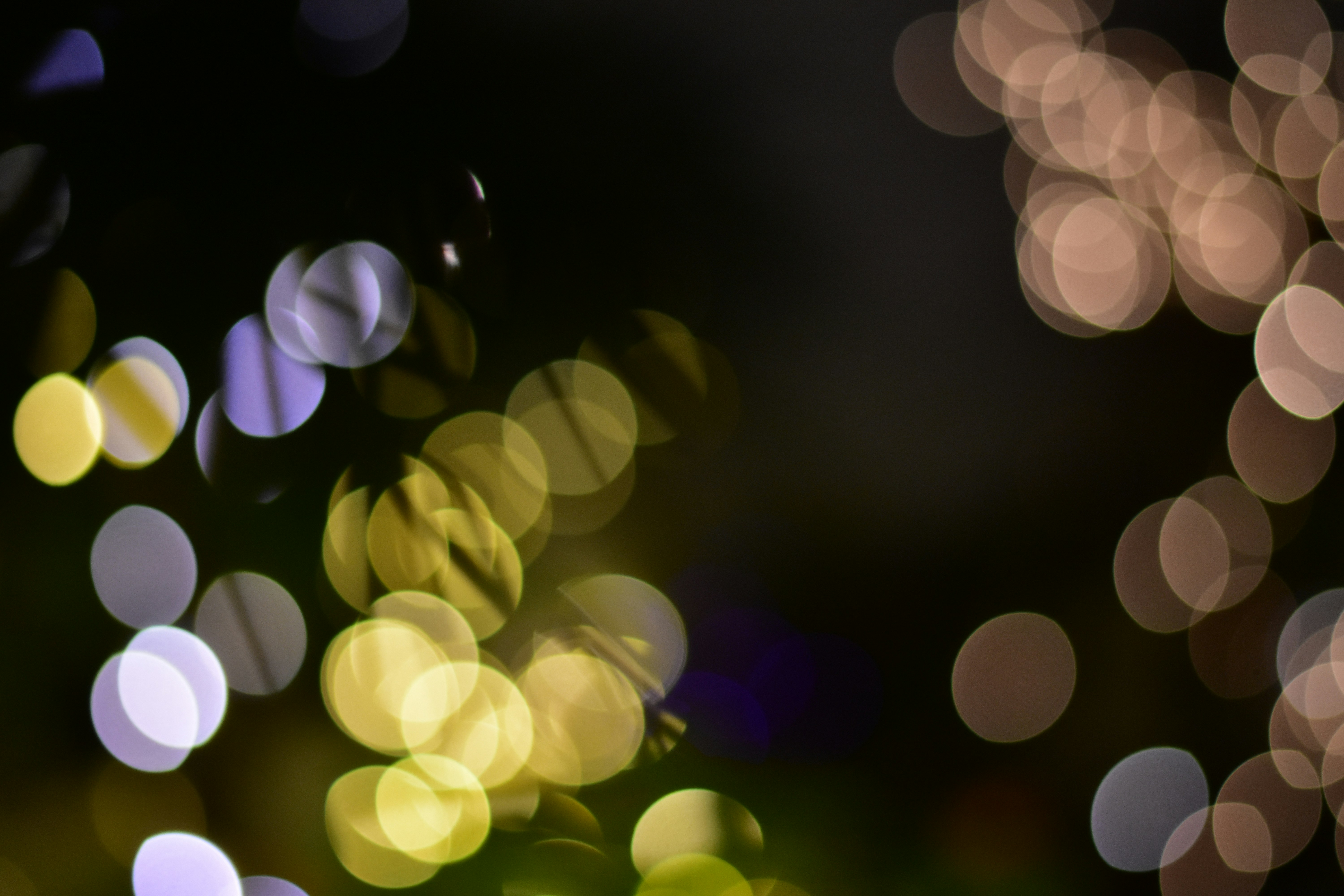 Abstract bokeh lights on a dark backgroundNeelakshi Singh