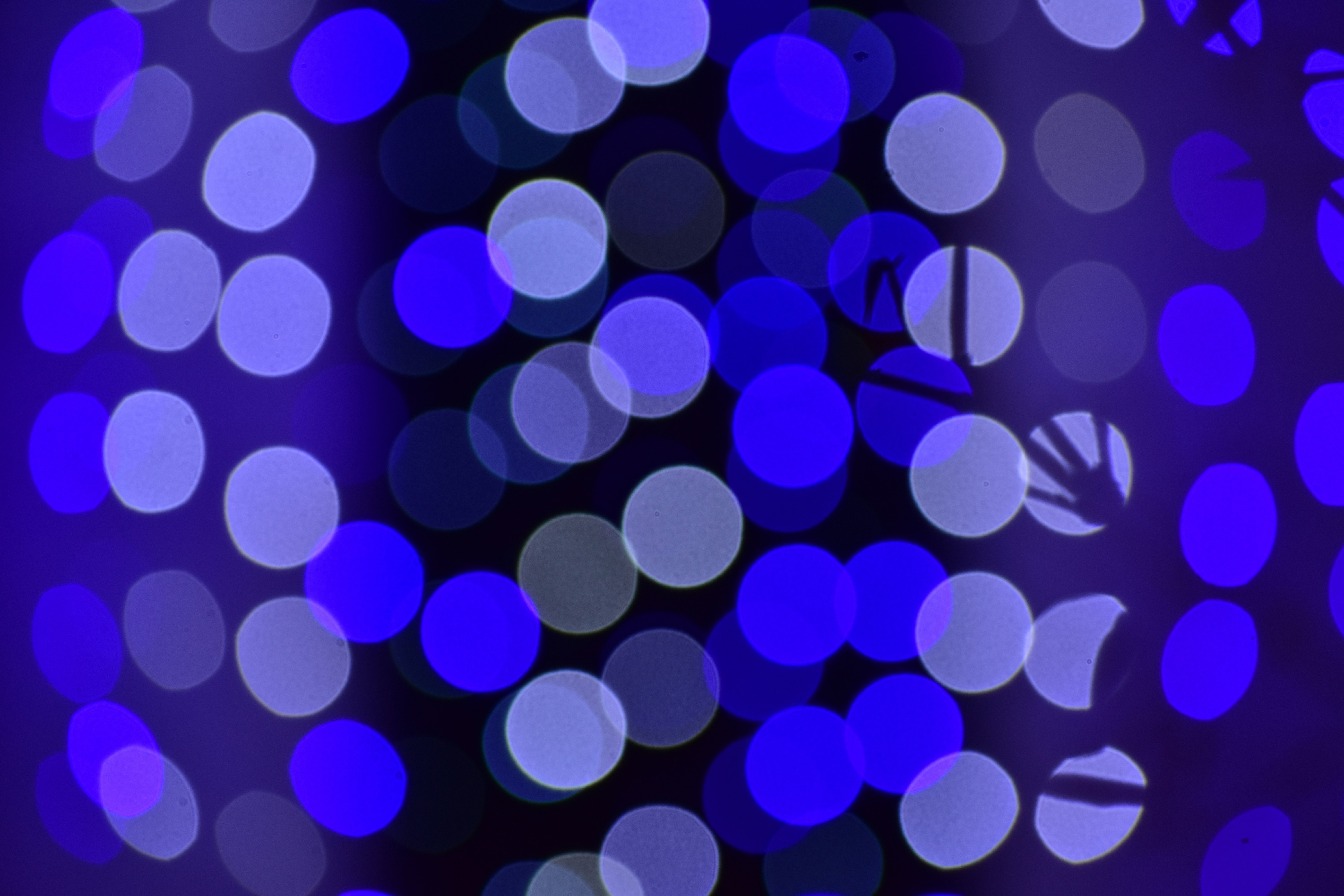 Photo by Neelakshi Singh with Nikon D3400