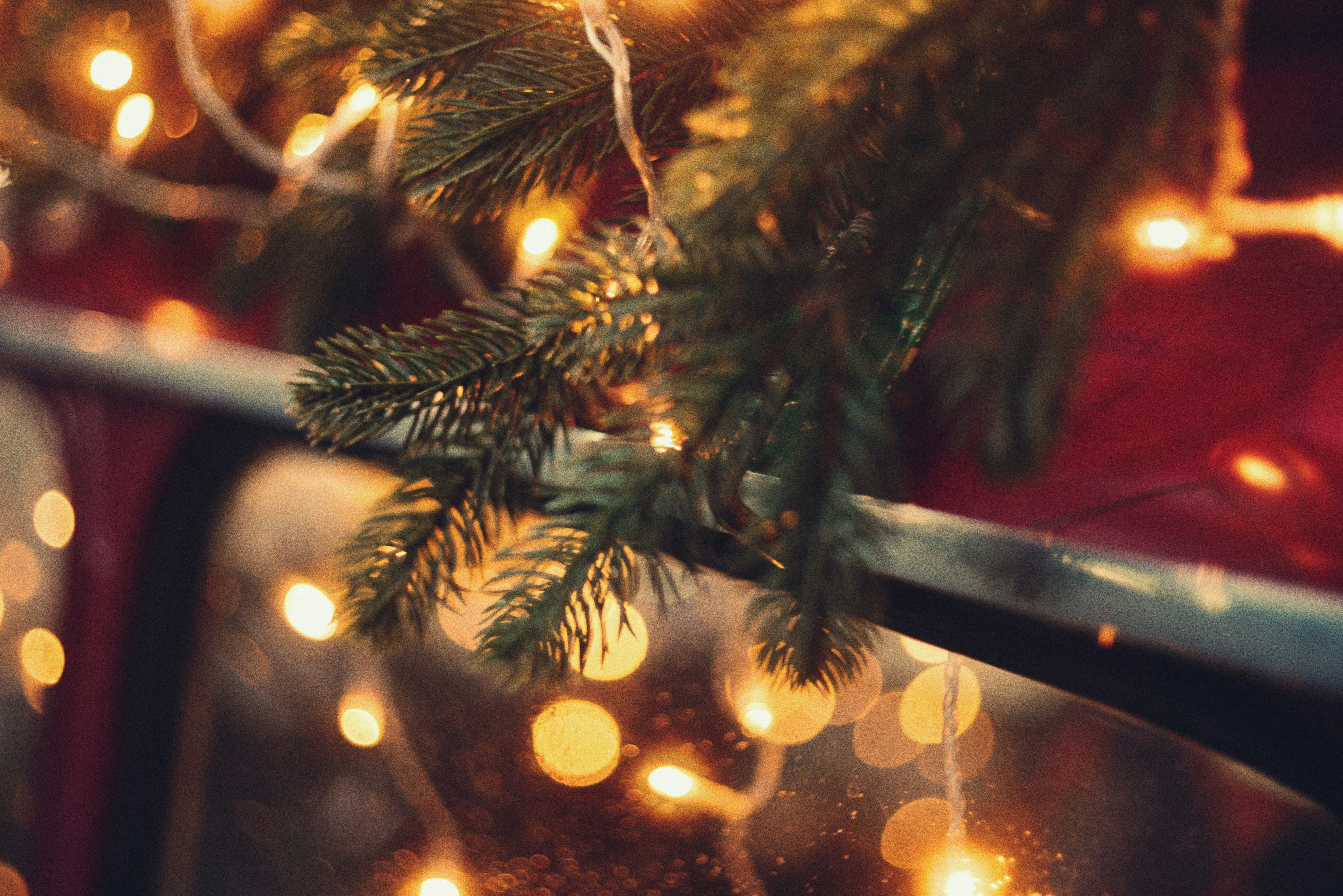 Twinkling Greenery and Warm Lights: A Holiday Frame