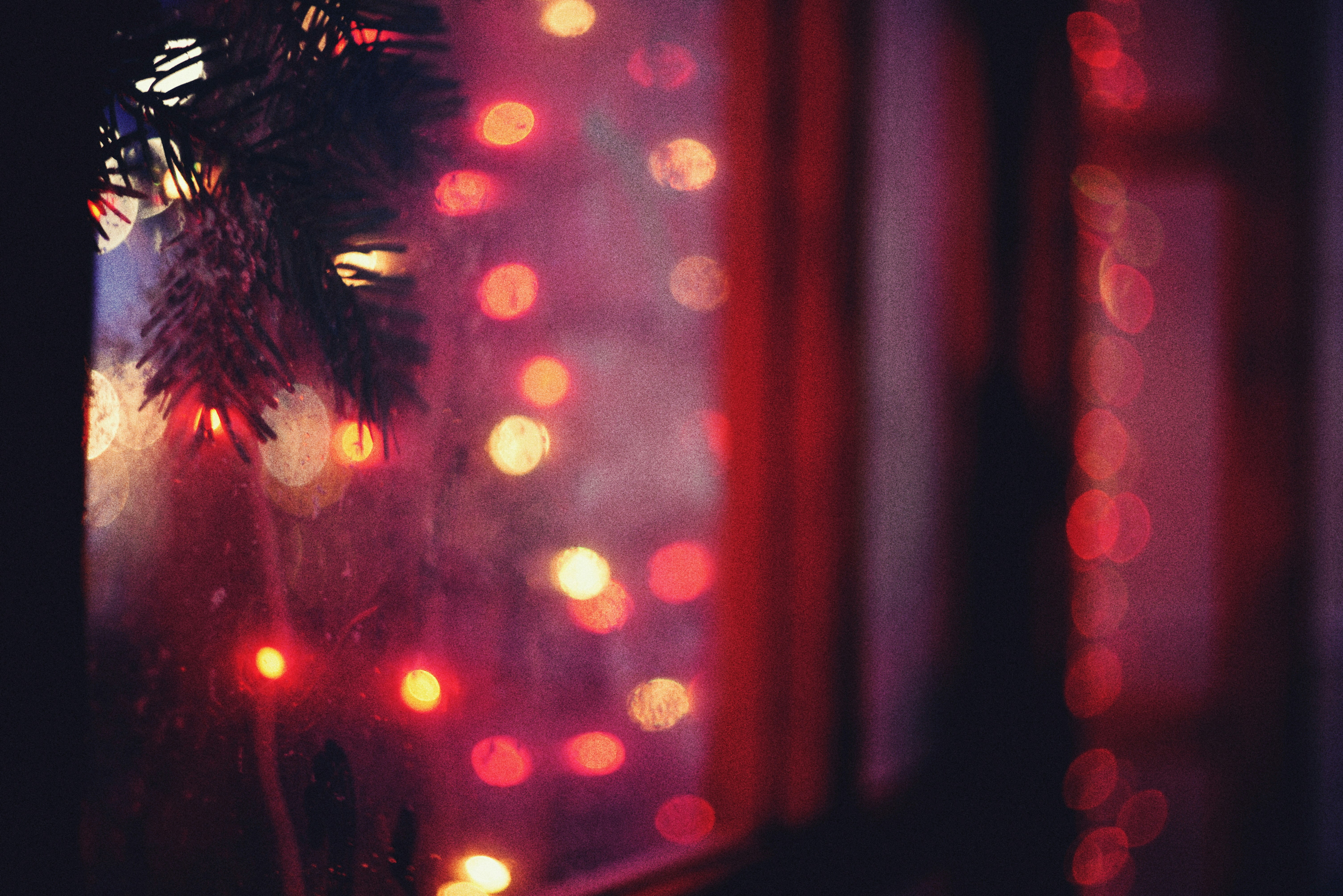 Blurred red and gold bokeh lights with a dark branch. photo – Free ...