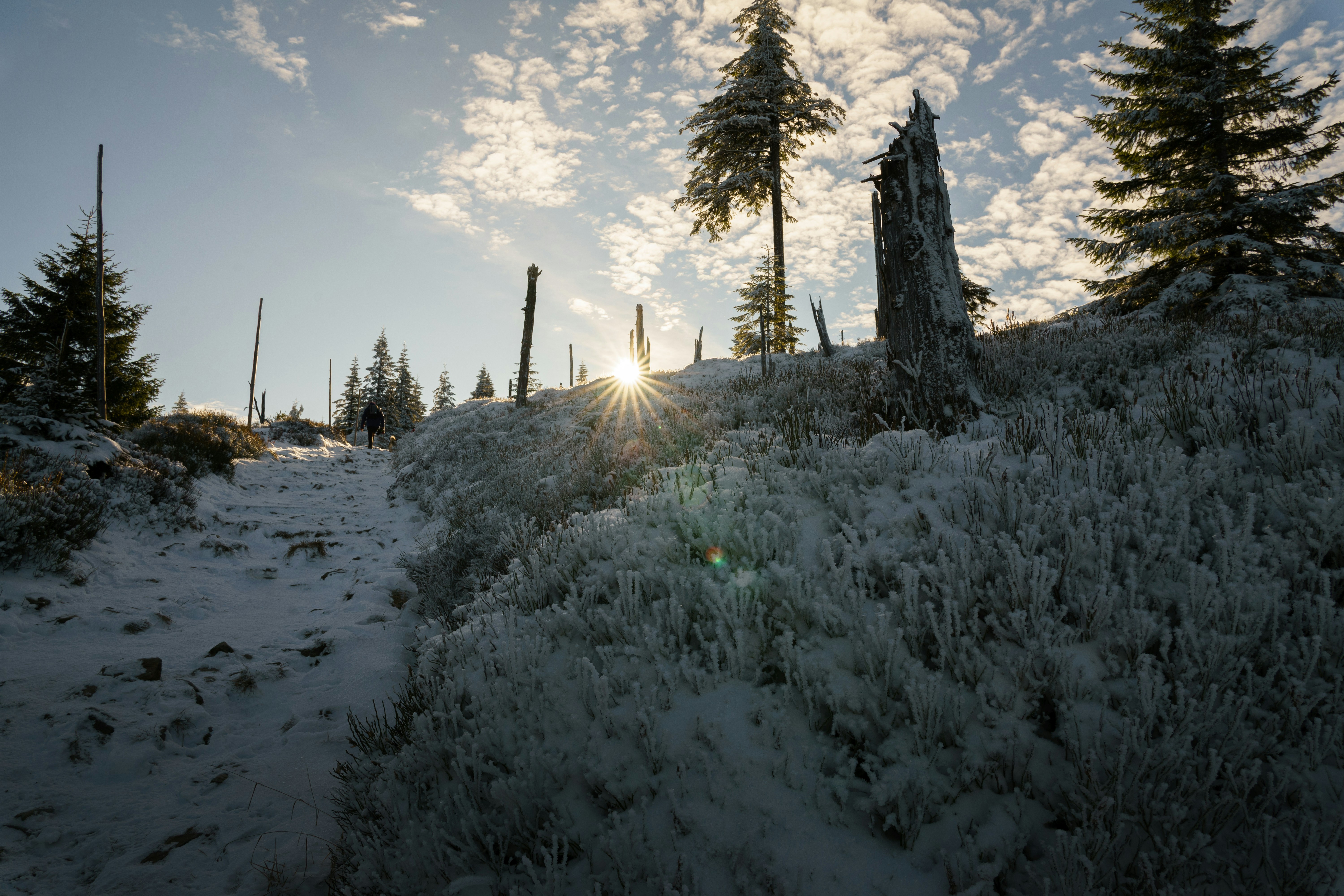 Sunlit Crest: Frost-Studded Ridge at Dawn