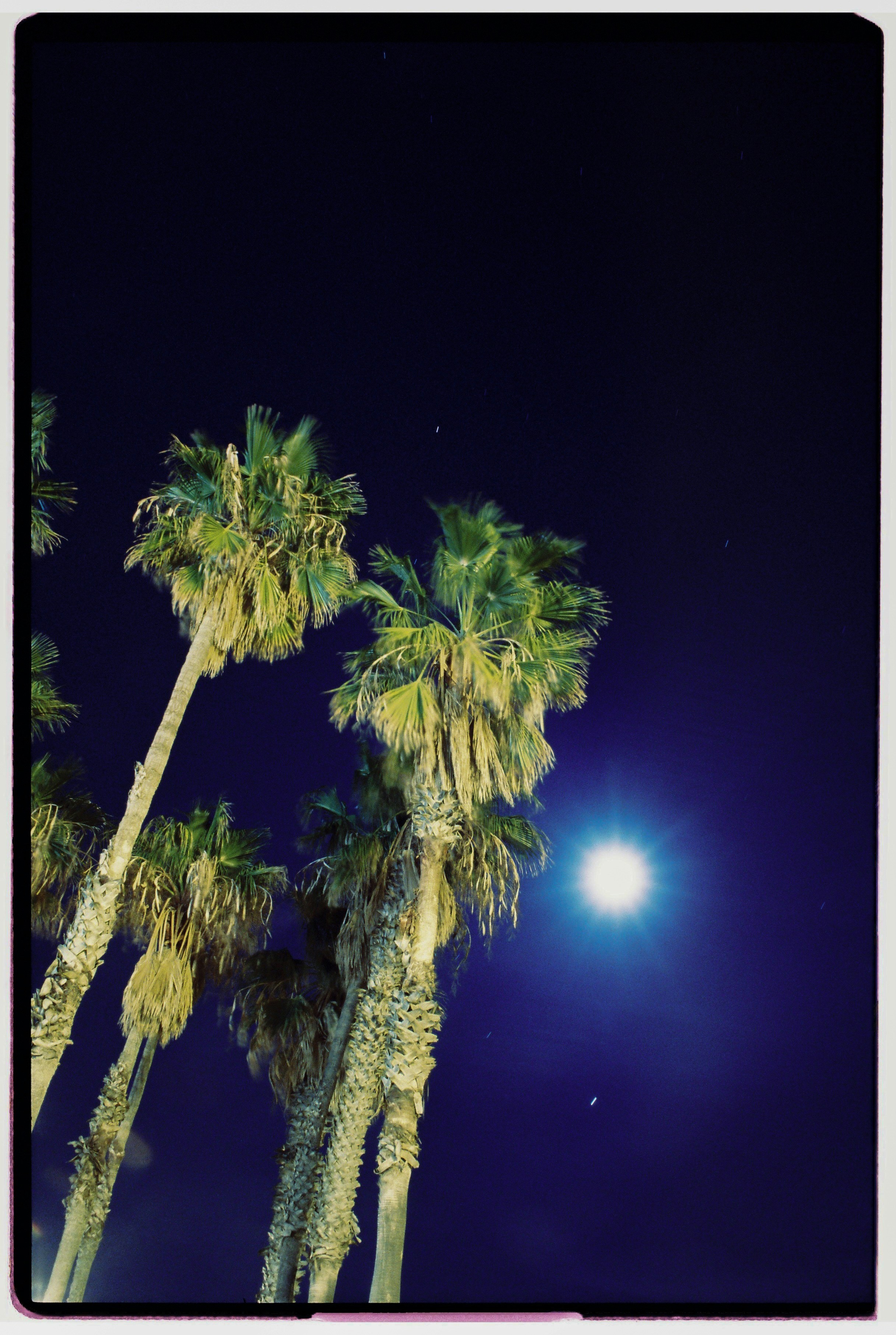 Photo by Lawrence Krowdeed with Fujifilm SP-3000