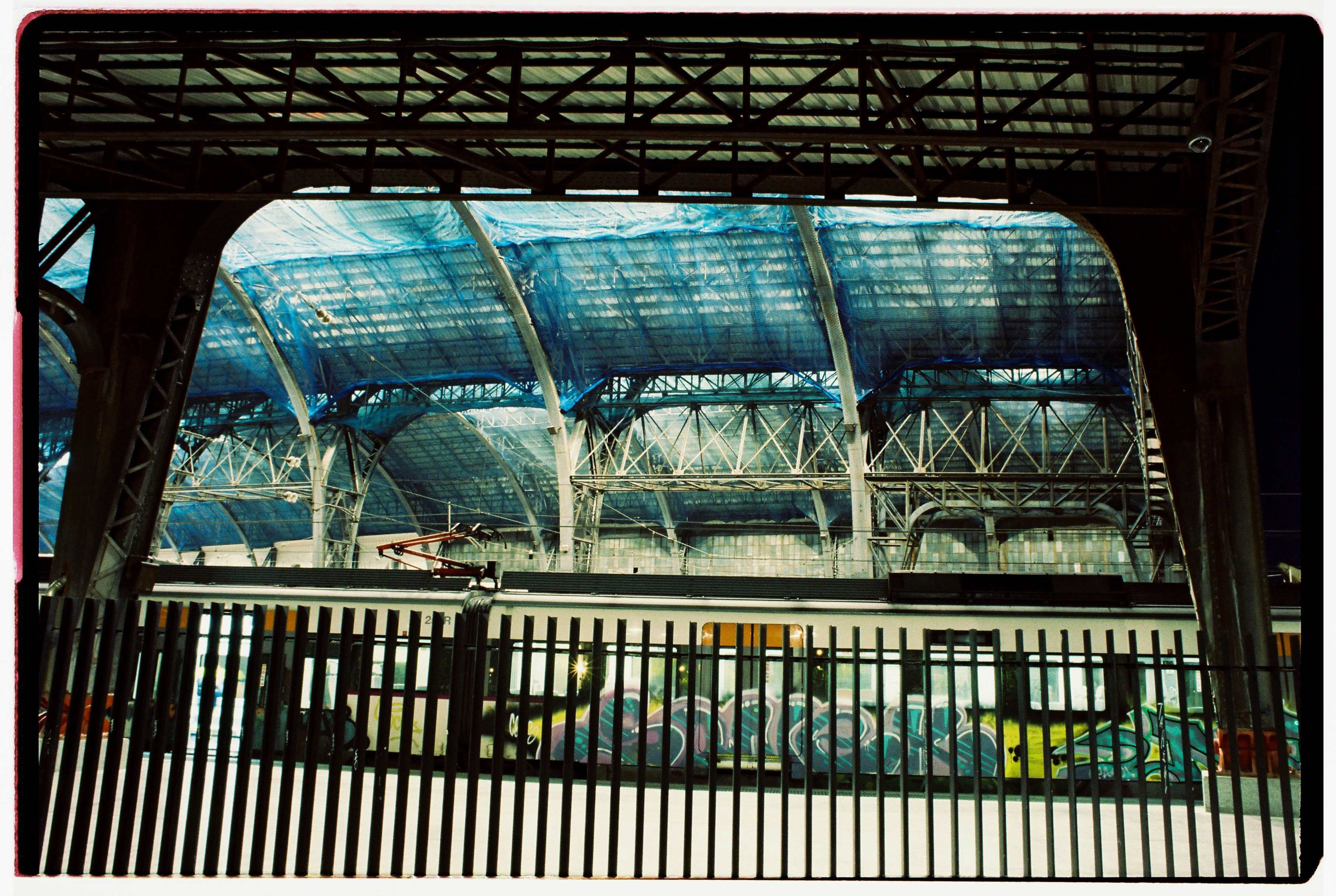 Photo by Lawrence Krowdeed with Fujifilm SP-3000