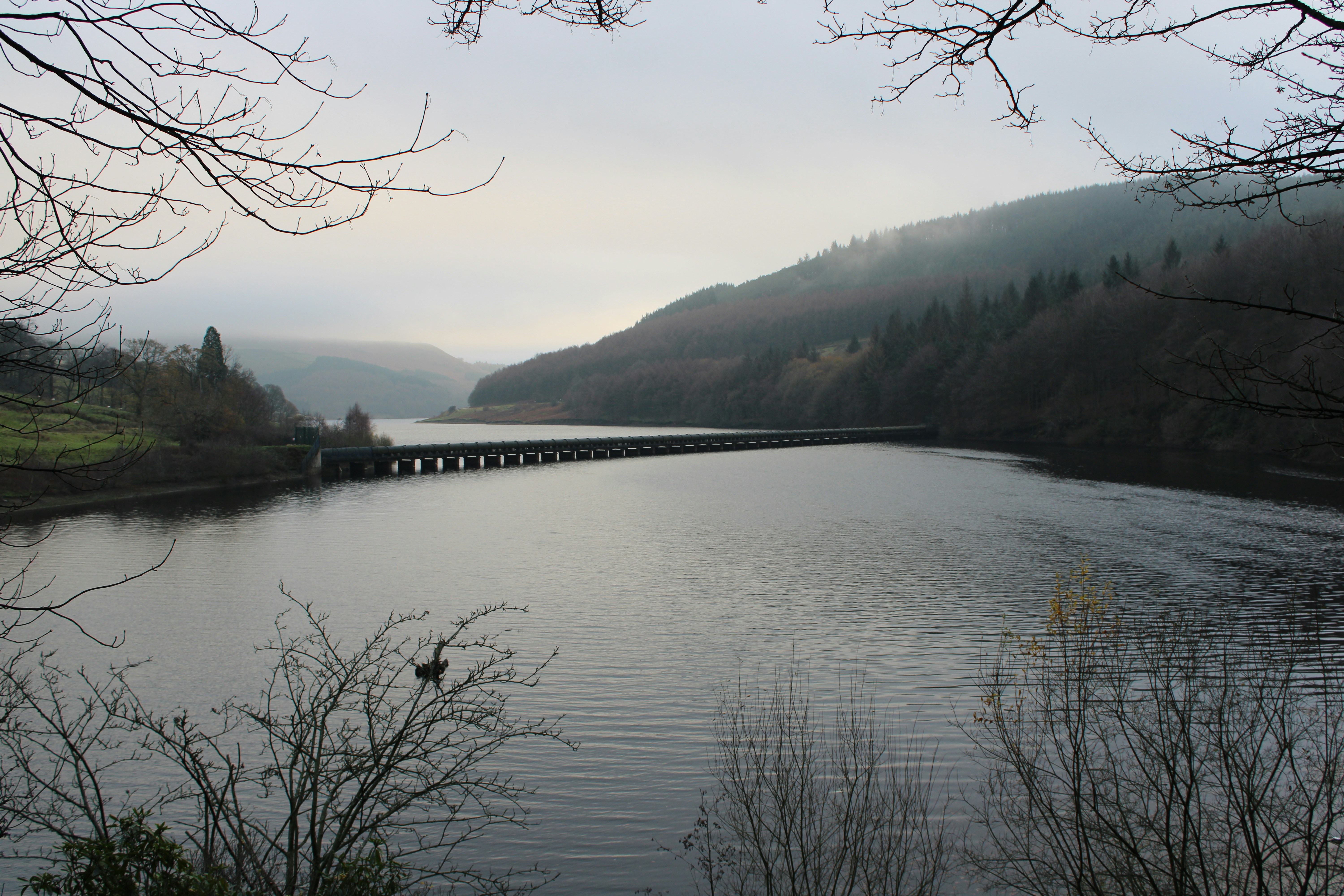 Quiet Lake Span: A Misty Valley Through a Narrow Bridge