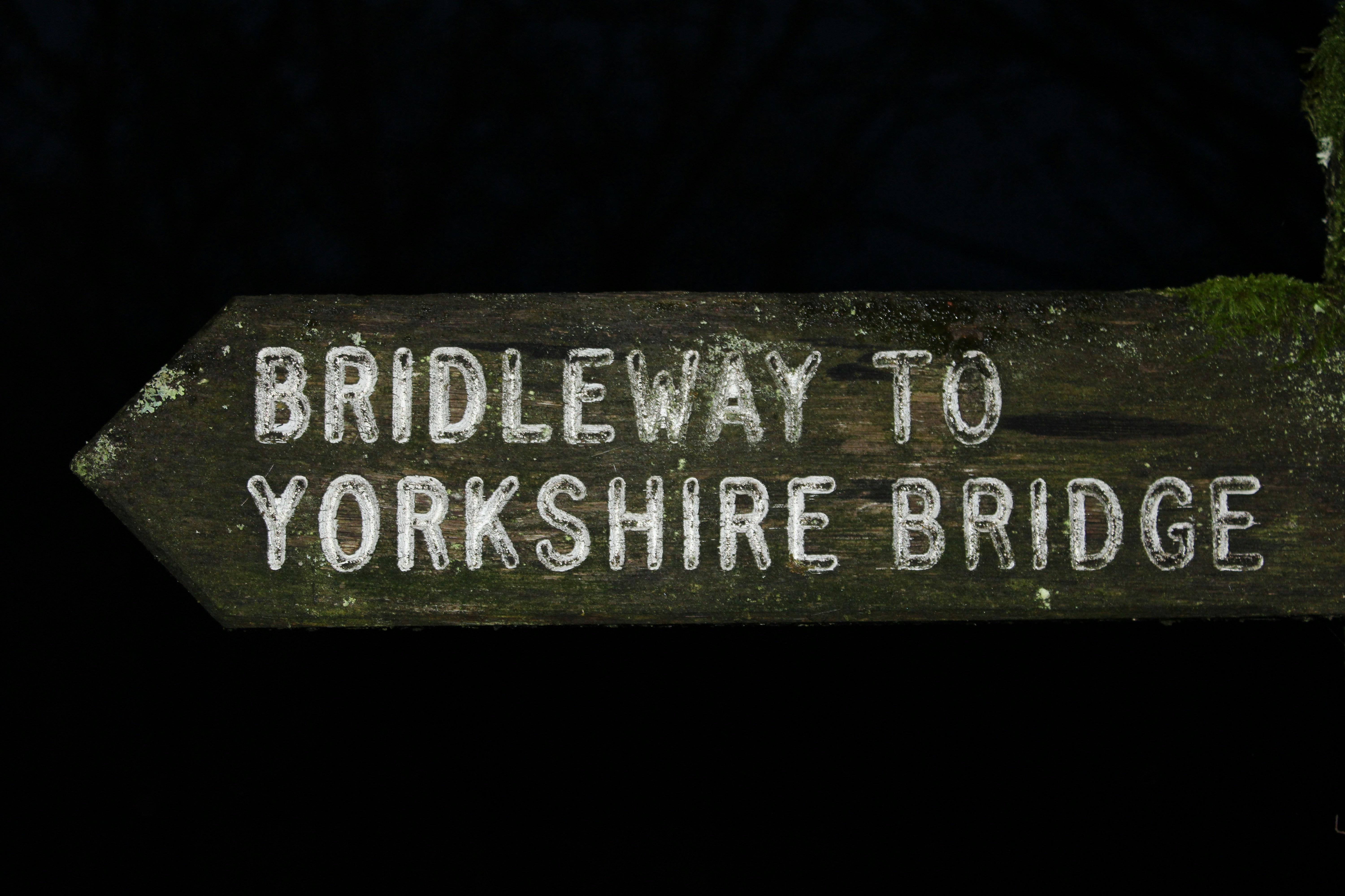 Photo by Ben Marler with Canon EOS 2000D