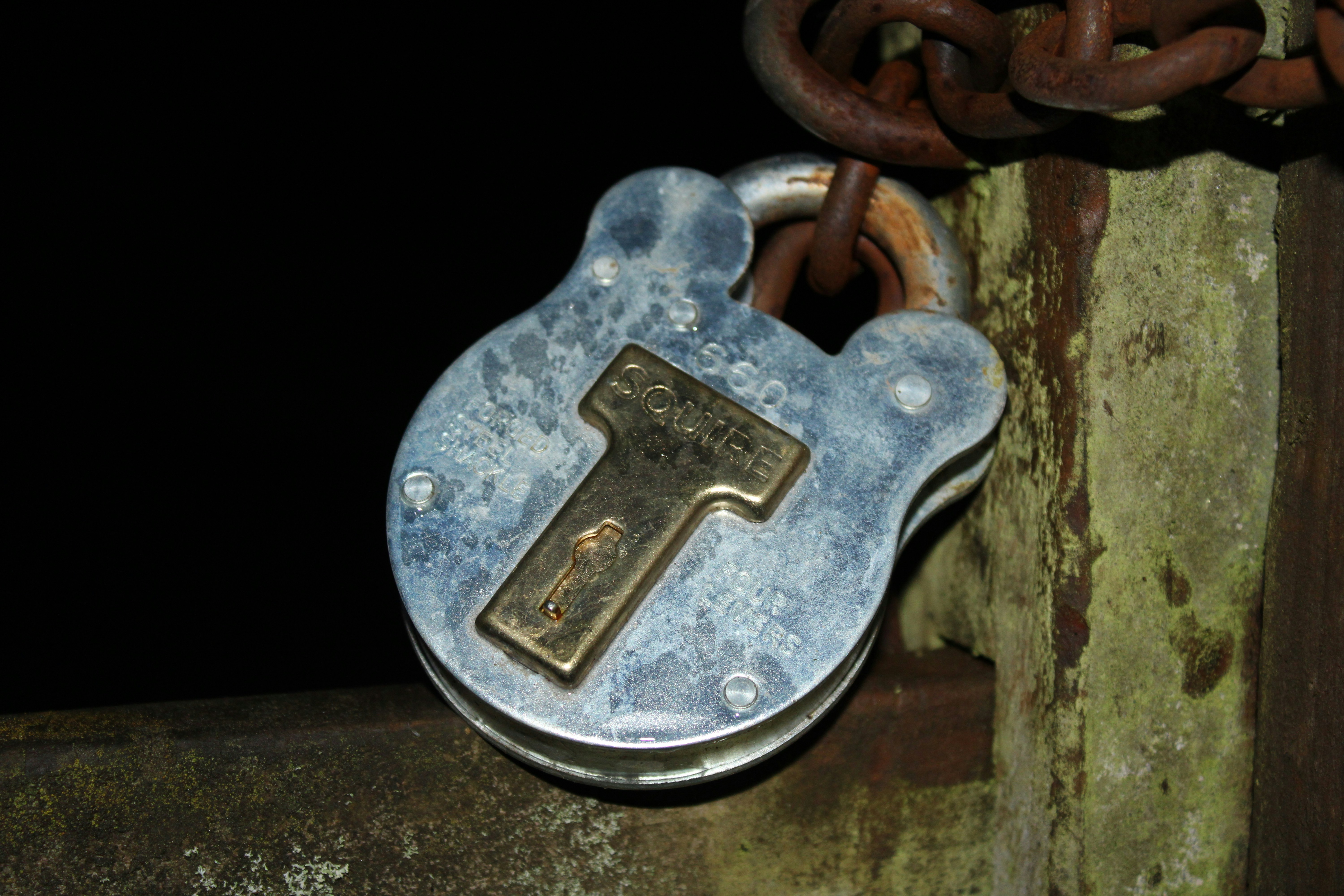 Photo by Ben Marler with Canon EOS 2000D