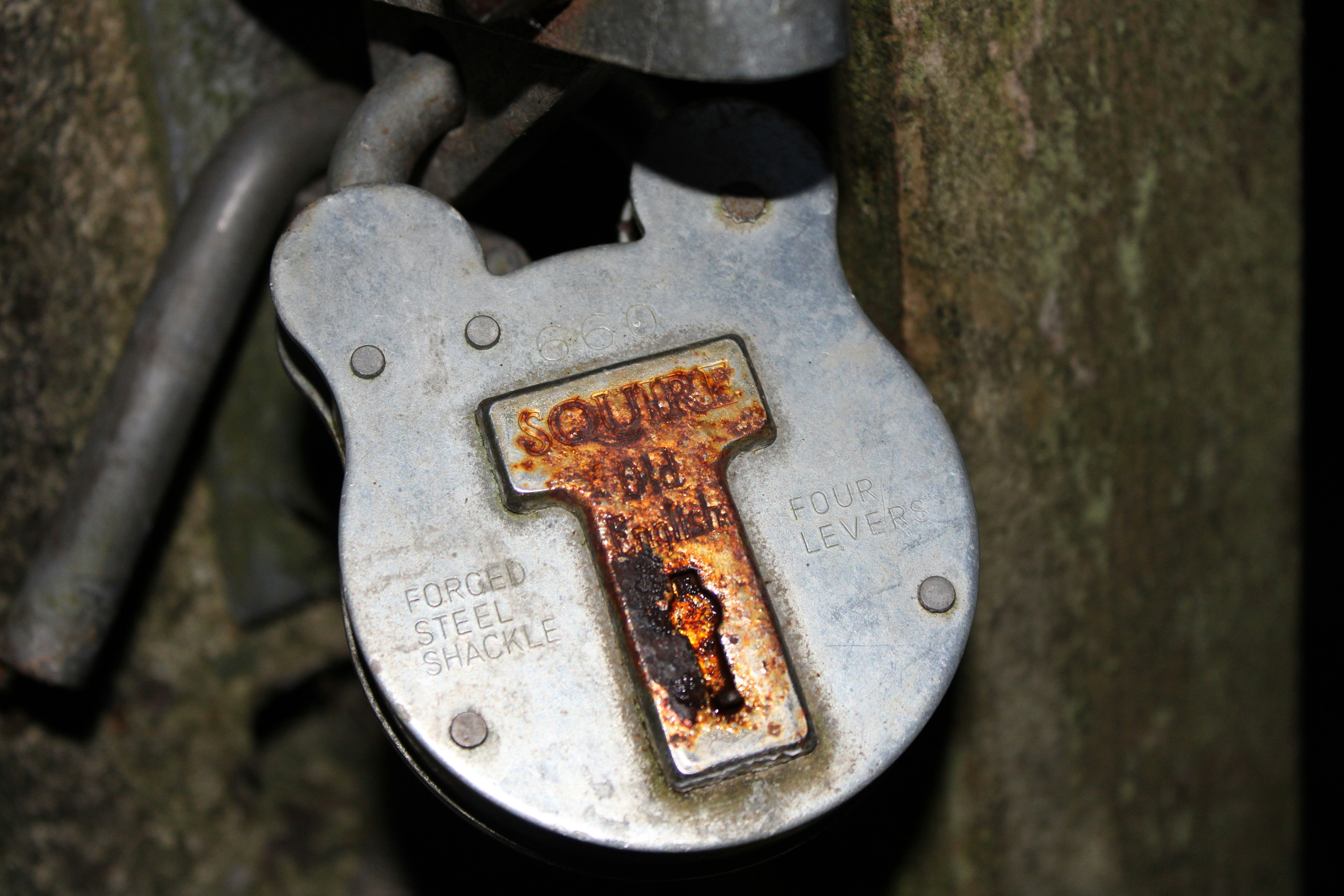 Photo by Ben Marler with Canon EOS 2000D