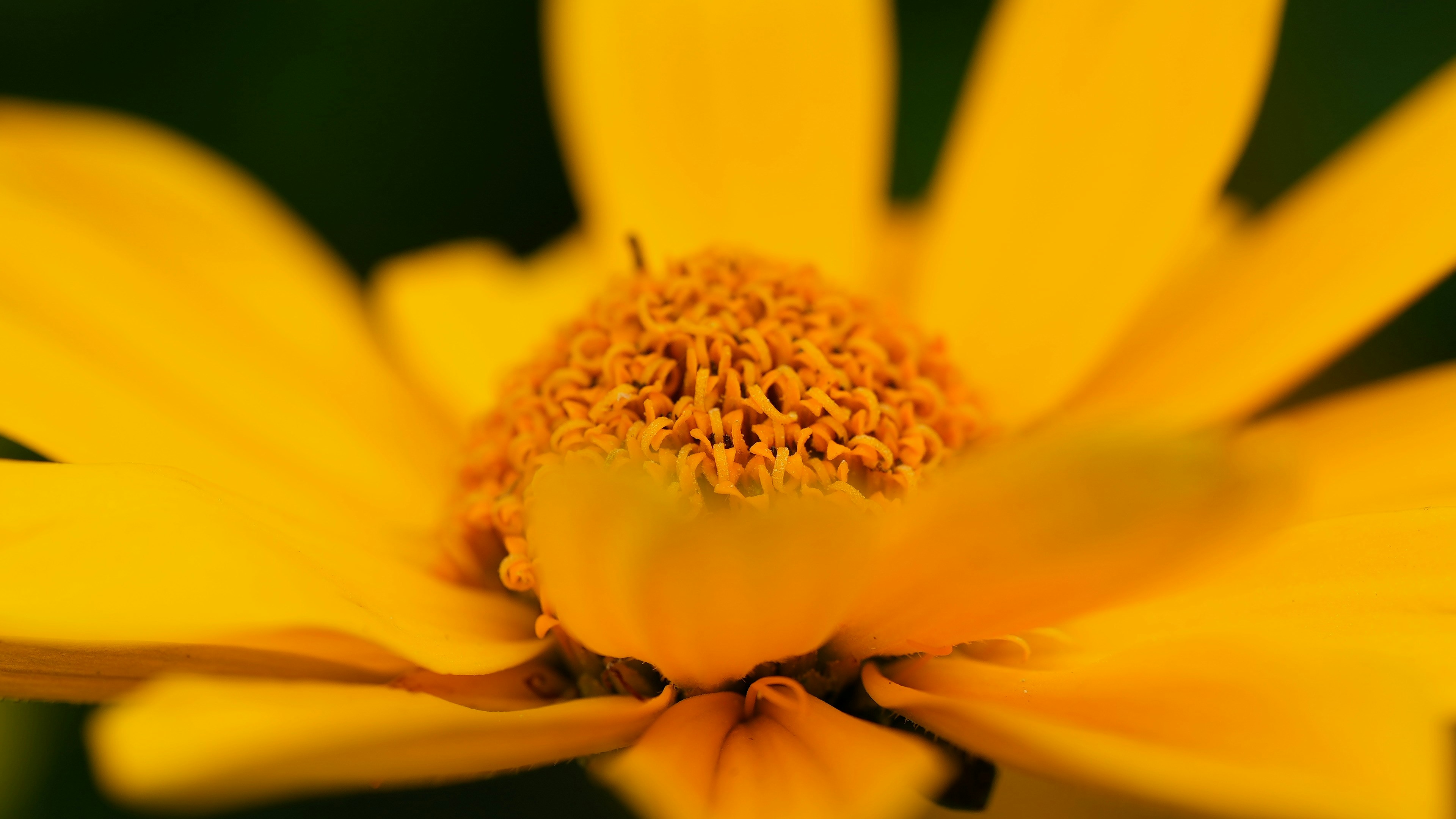 Photo by Alexey with Sony Alpha 7C II