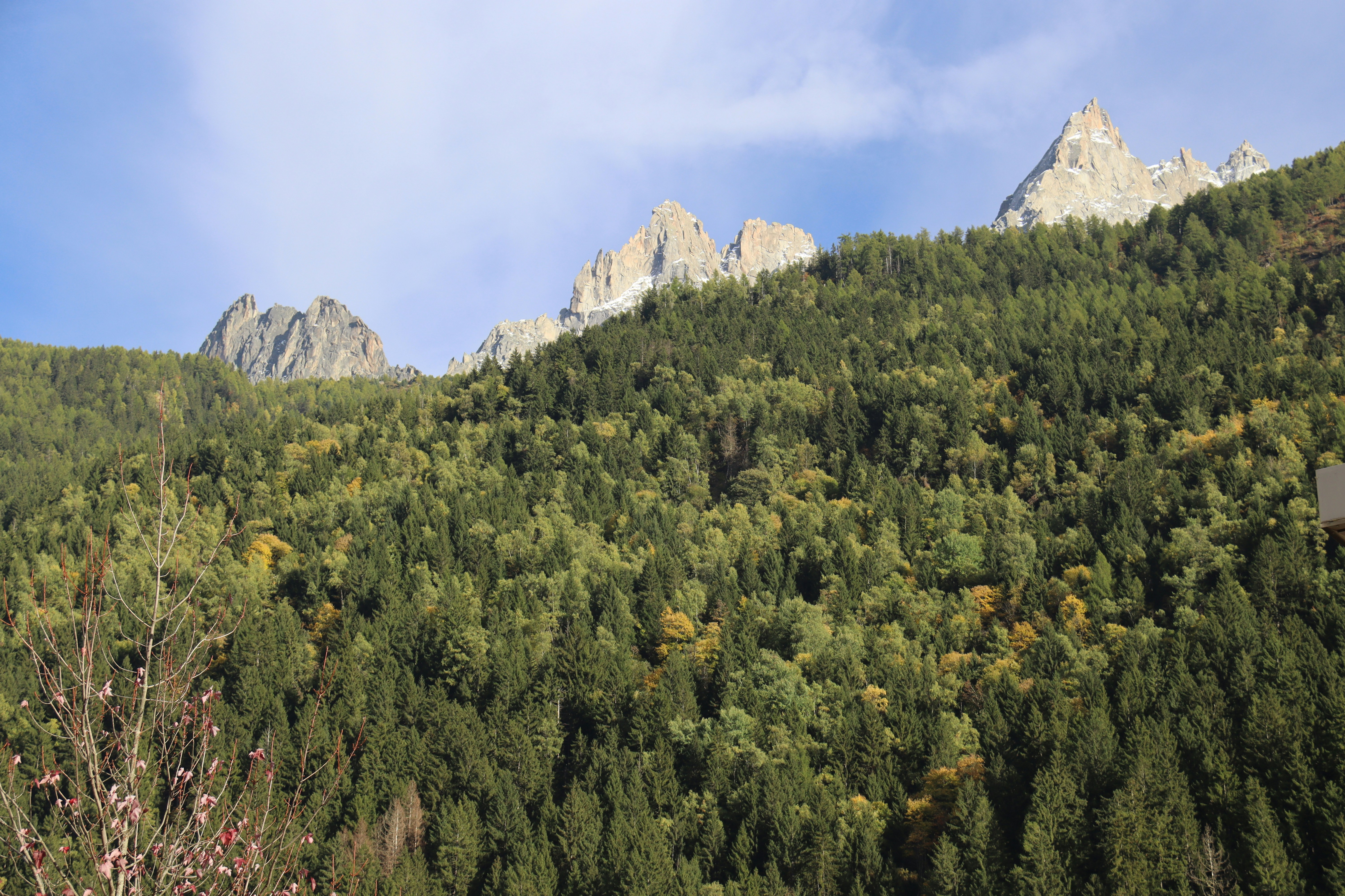 Crestline Ridge: Forested Slopes Under Sharp Alpine Peaks