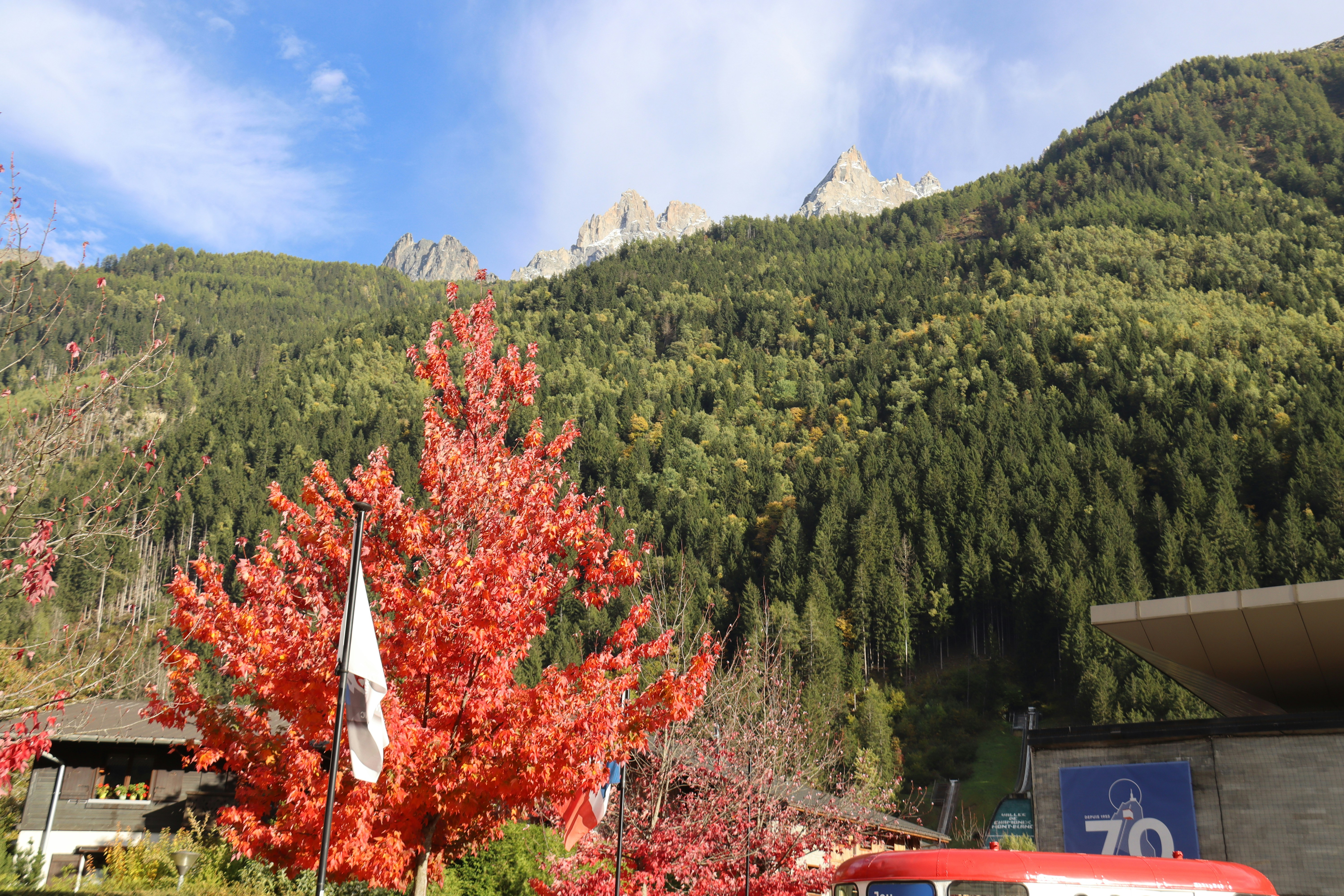 Photo by Shalev Cohen with Canon EOS 850D