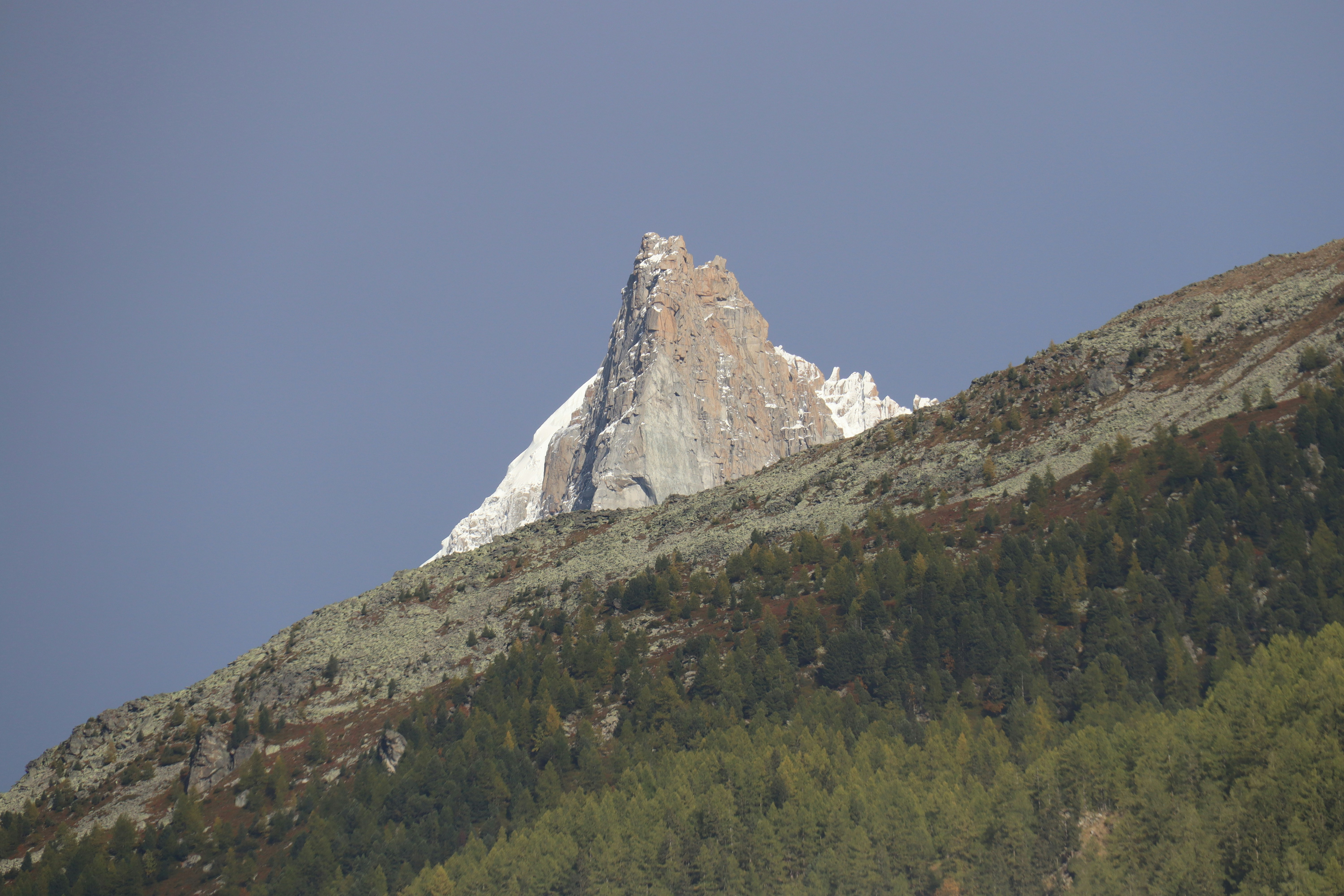 Photo by Shalev Cohen with Canon EOS 850D