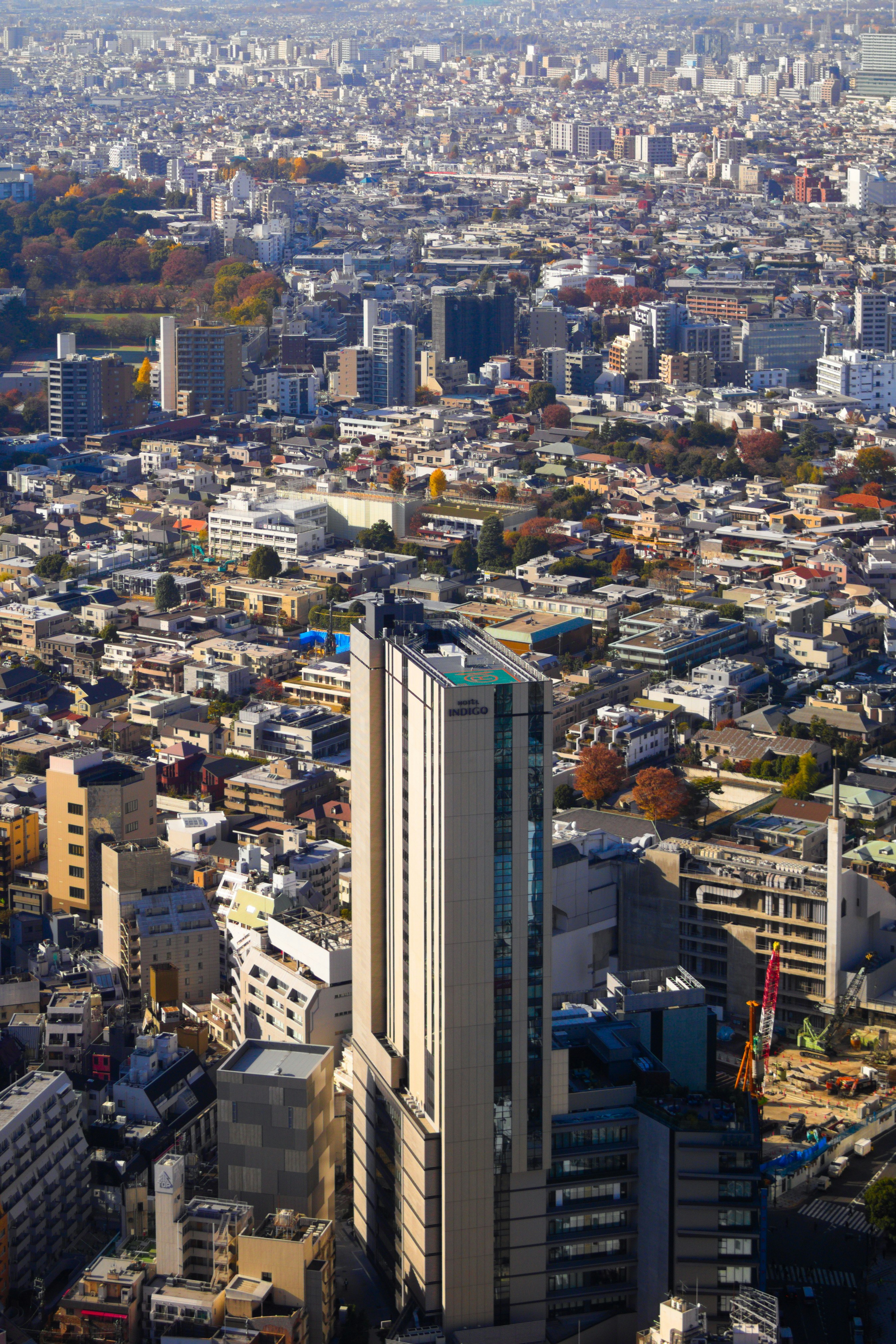 Skyward Reach: A Towering Cityscape with a Central Tower Looming Over the Dense Urban Quilt