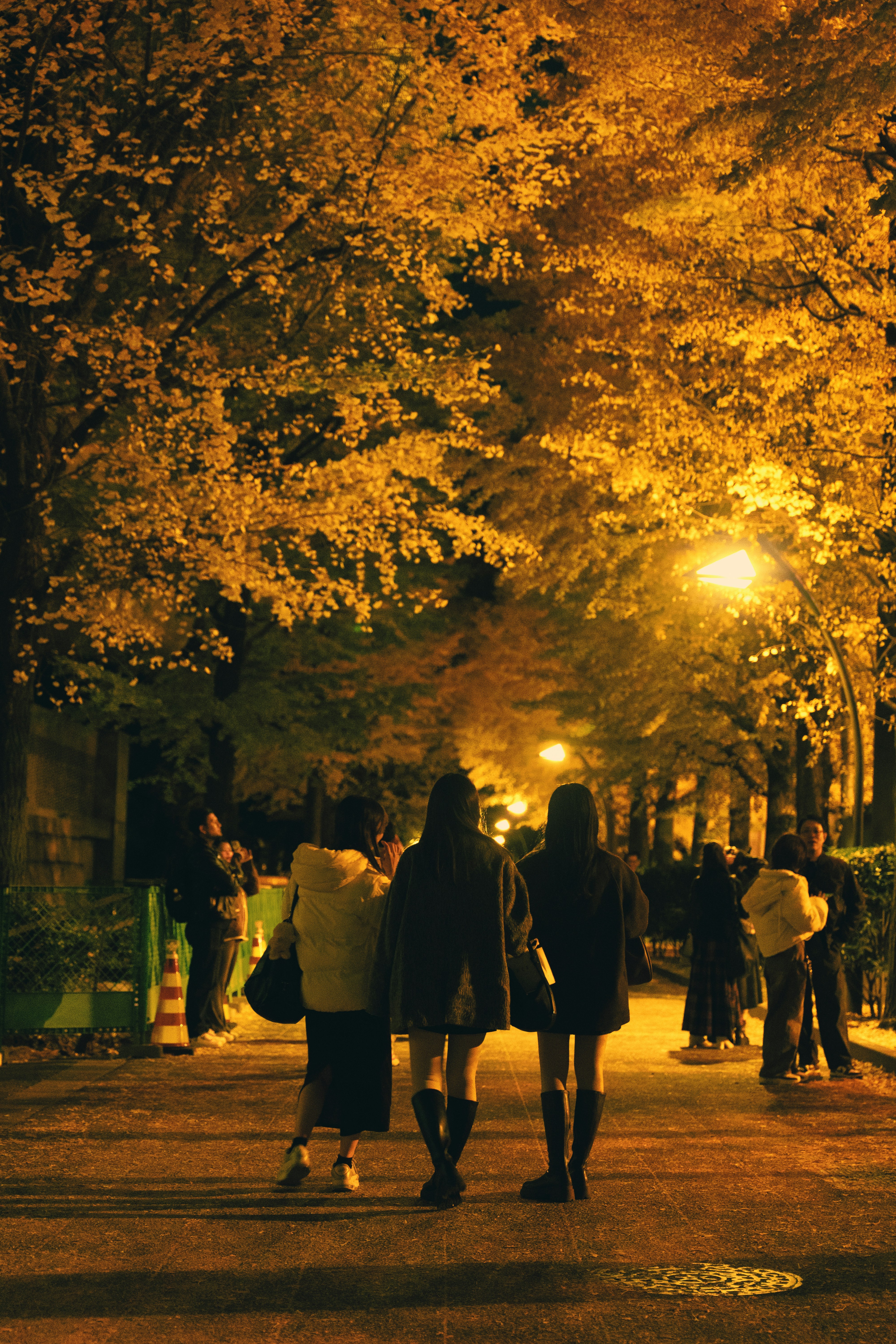 Autumn Night Walk Under Golden Streetlights