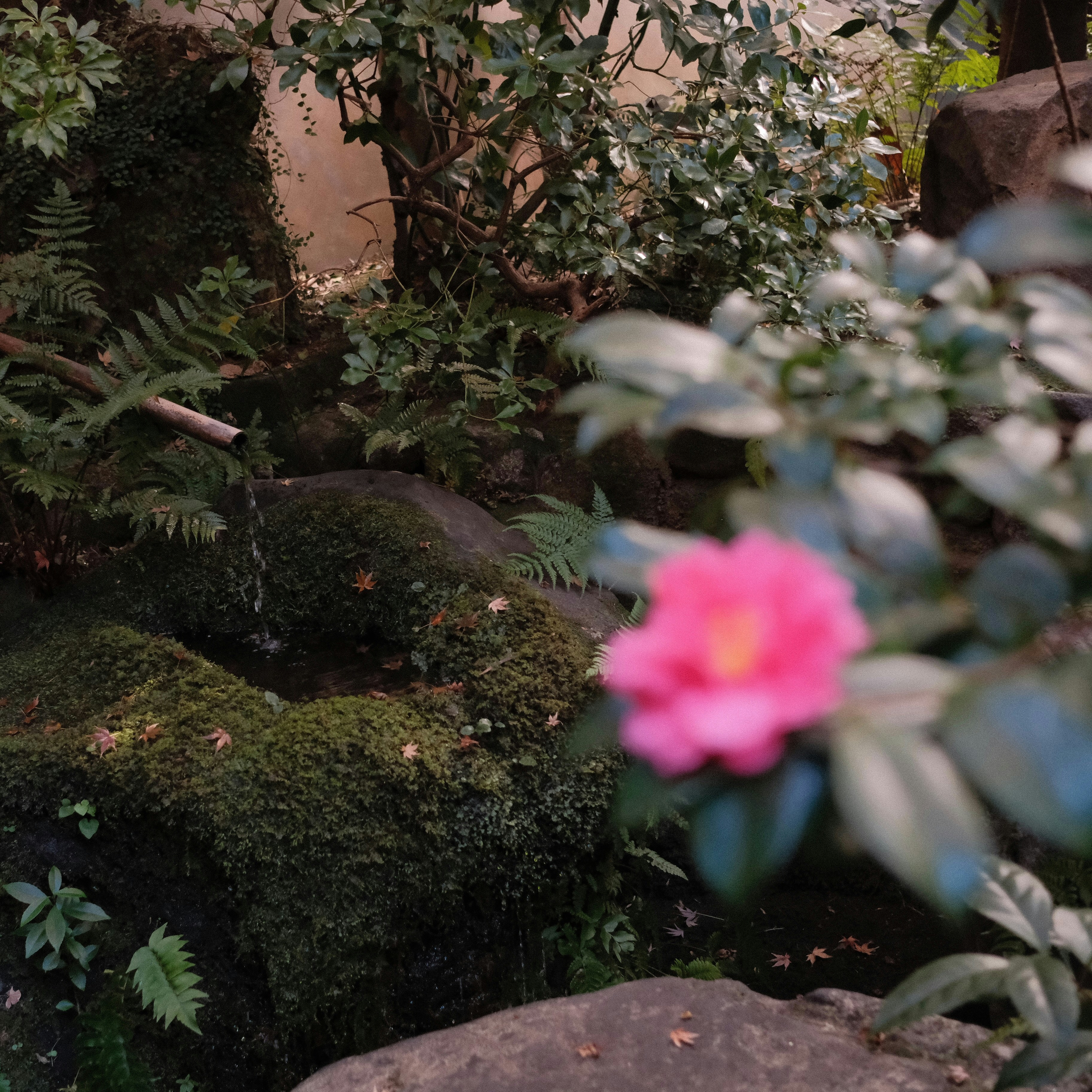 Sample photo from Fujifilm X-E5