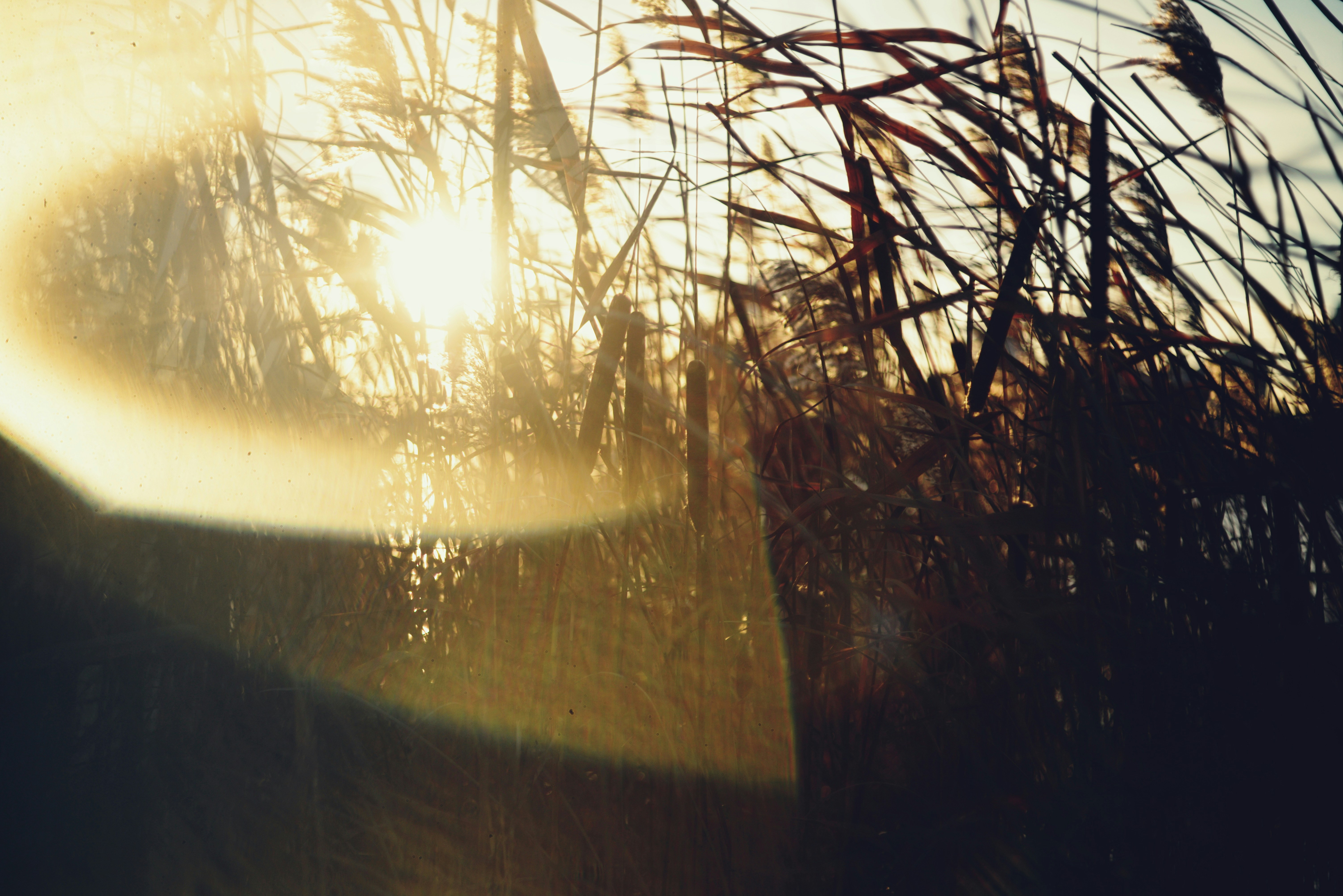 Photo by Liana S with Nikon D600