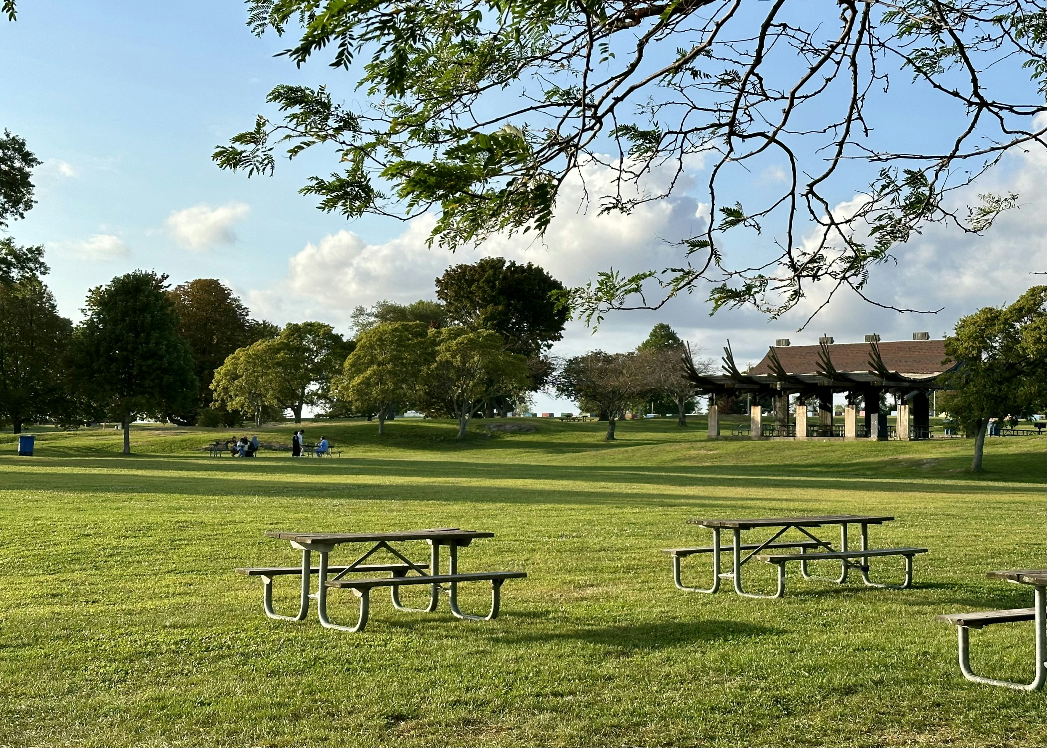 Sunlit Park Clearing with Picnic Tables and a Pavilion