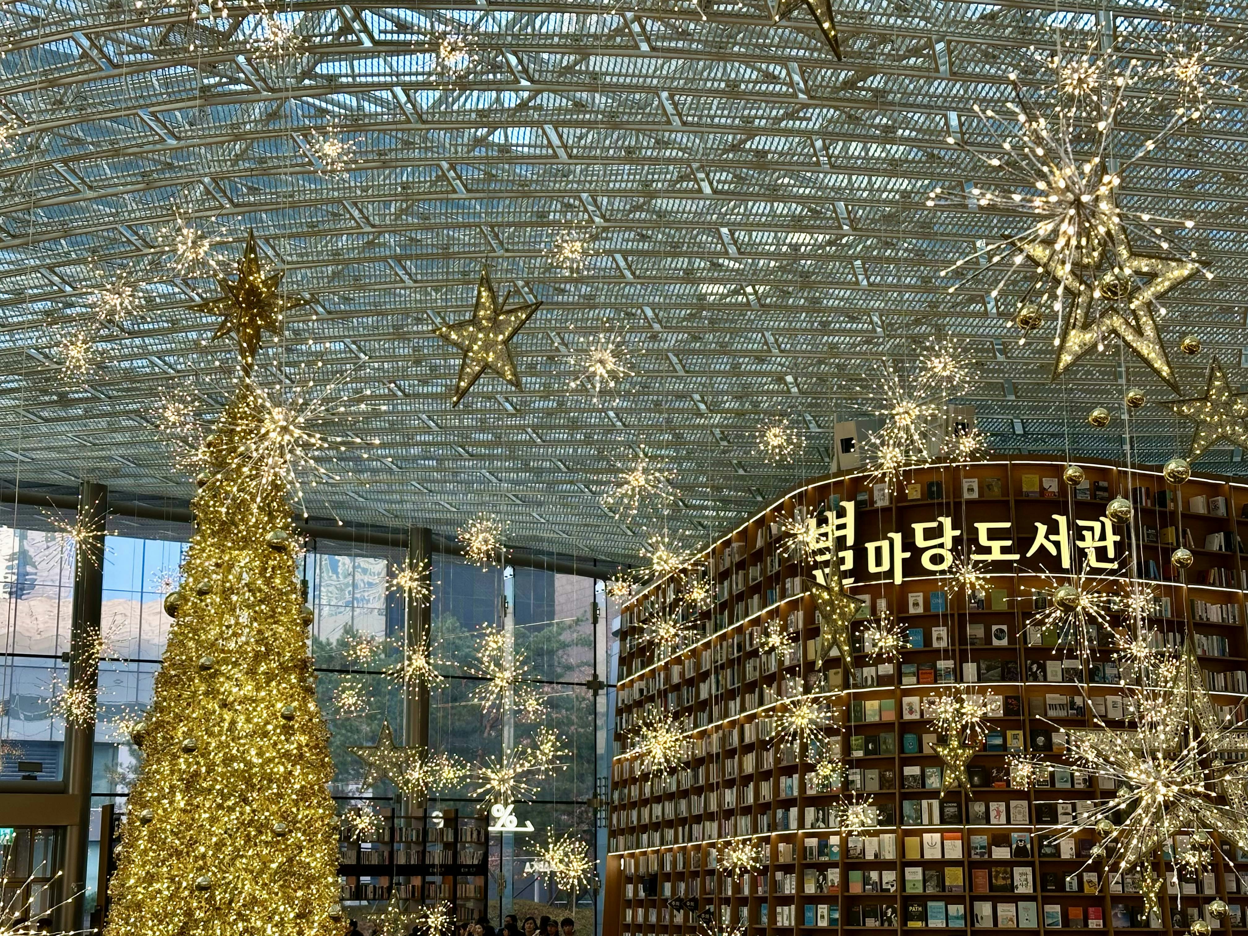 Golden Treefront: A Library Hall Dressed in Holiday Light