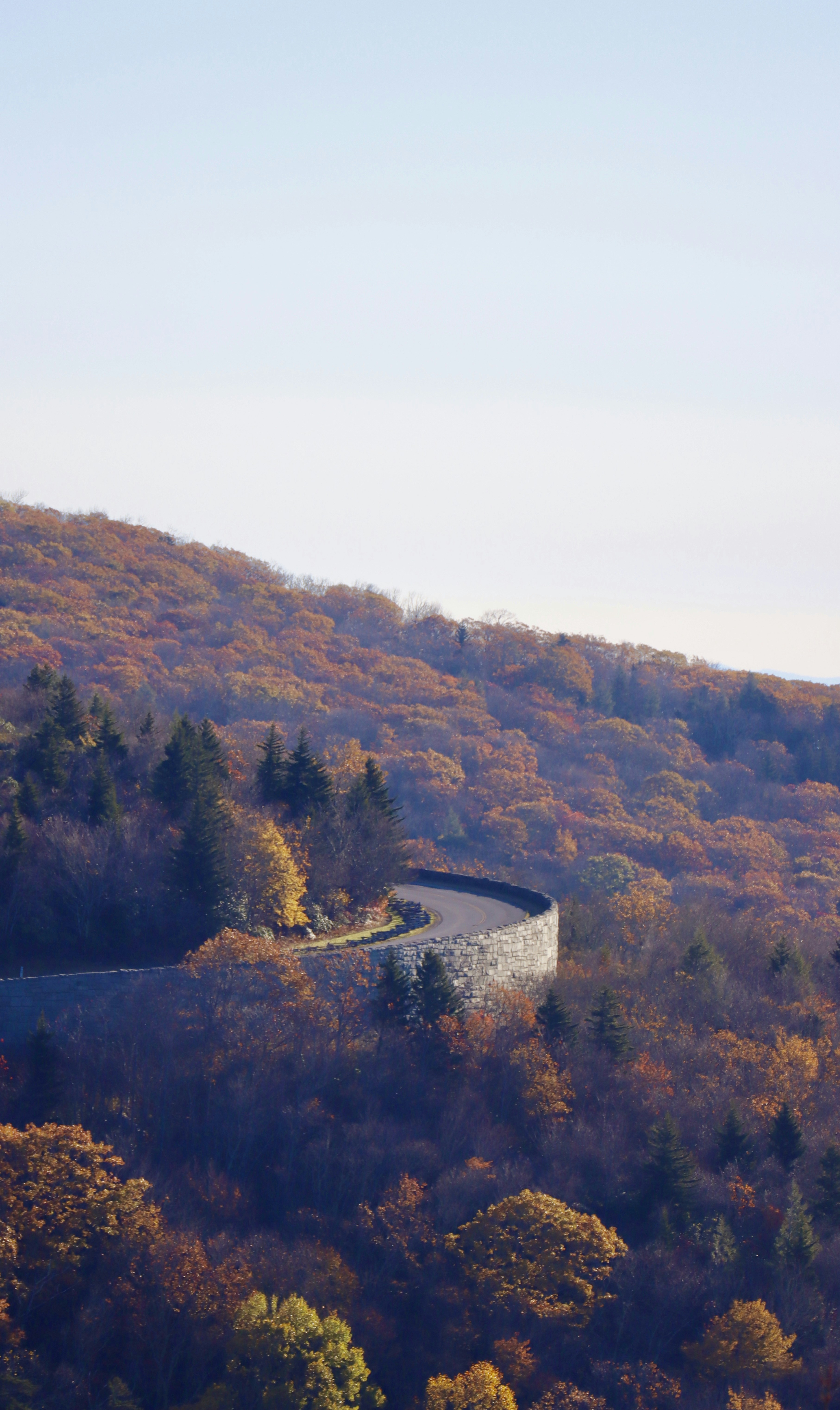 Autumn Ribbon: A Curved Road Cutting Through Supple Hillside