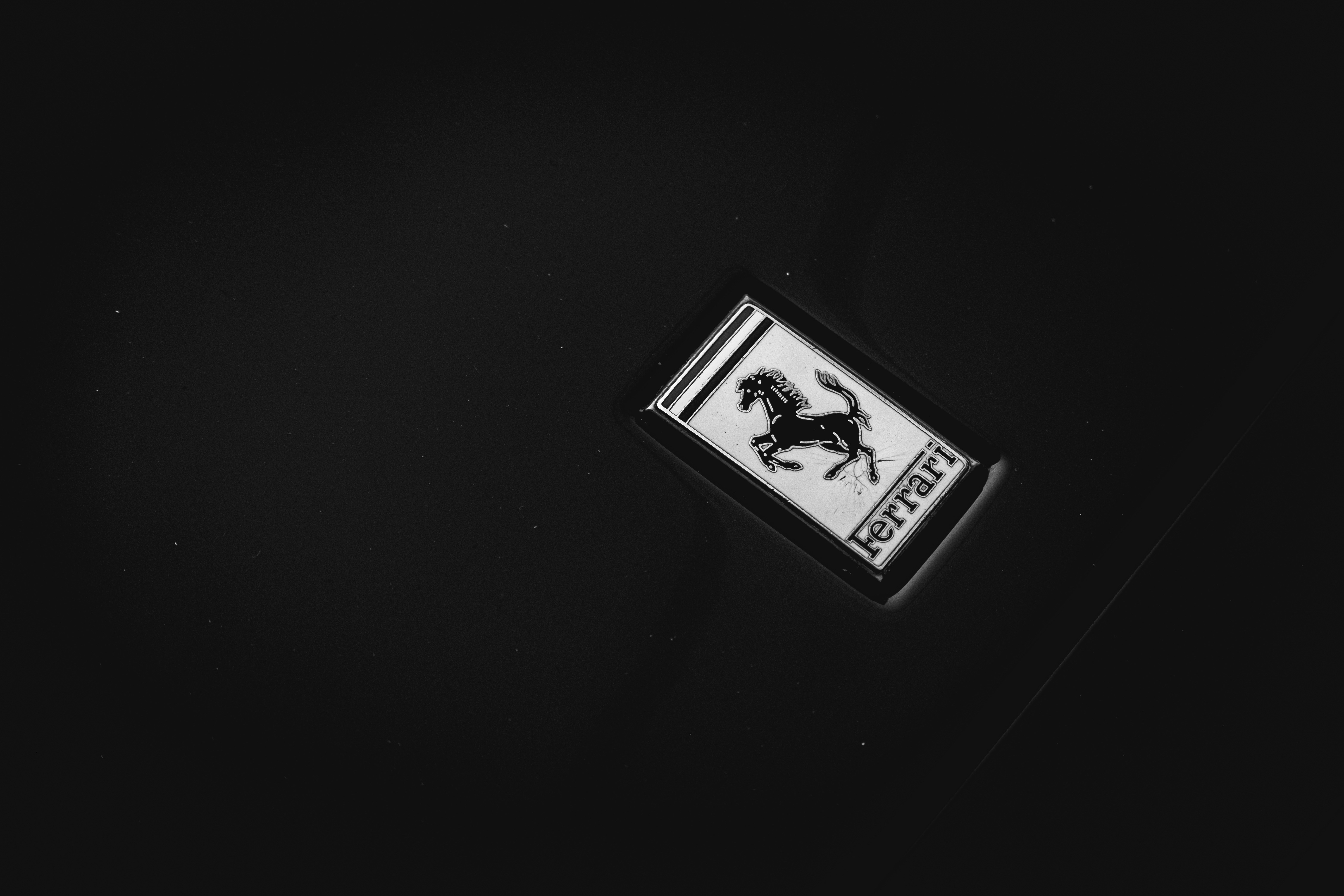 Dark Spotlight: The Prancing Emblem Amid Black Velvet