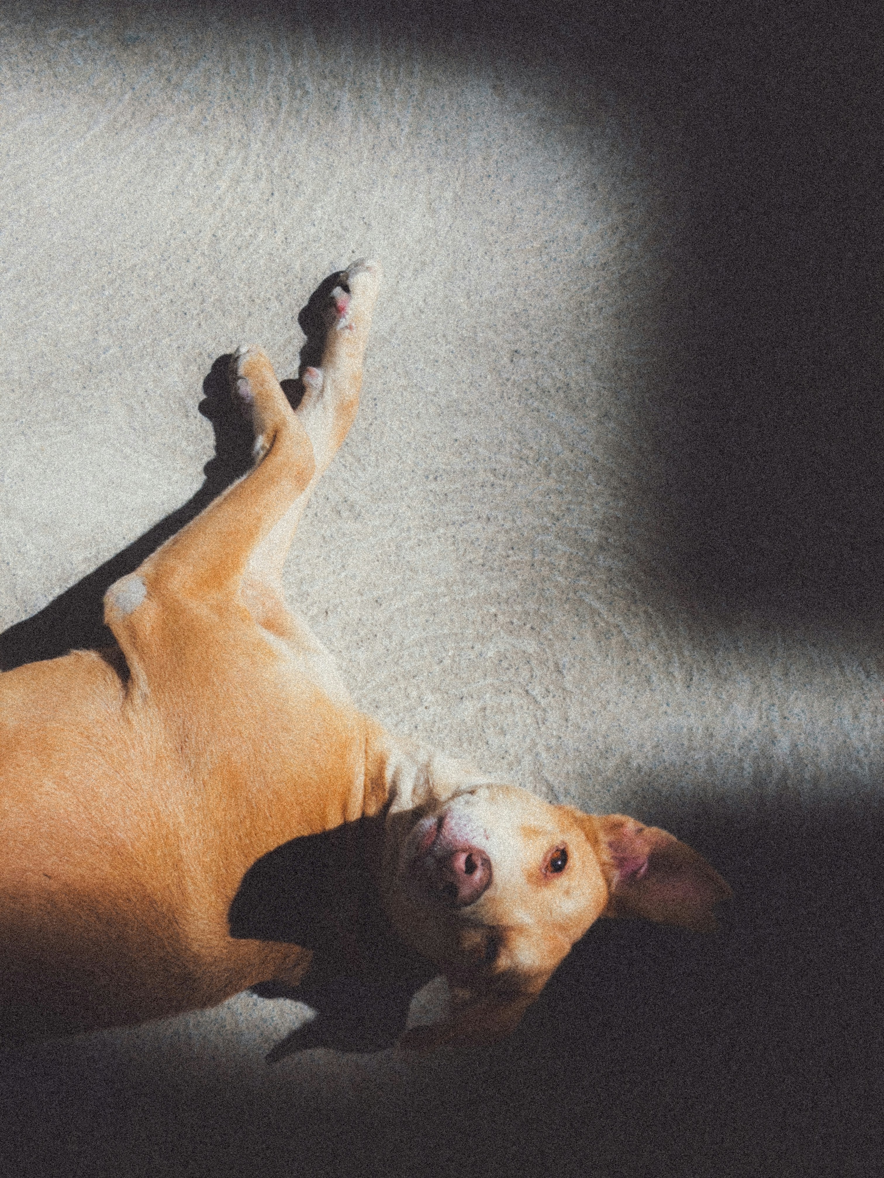 Sample photo from Apple iPhone 17 Pro